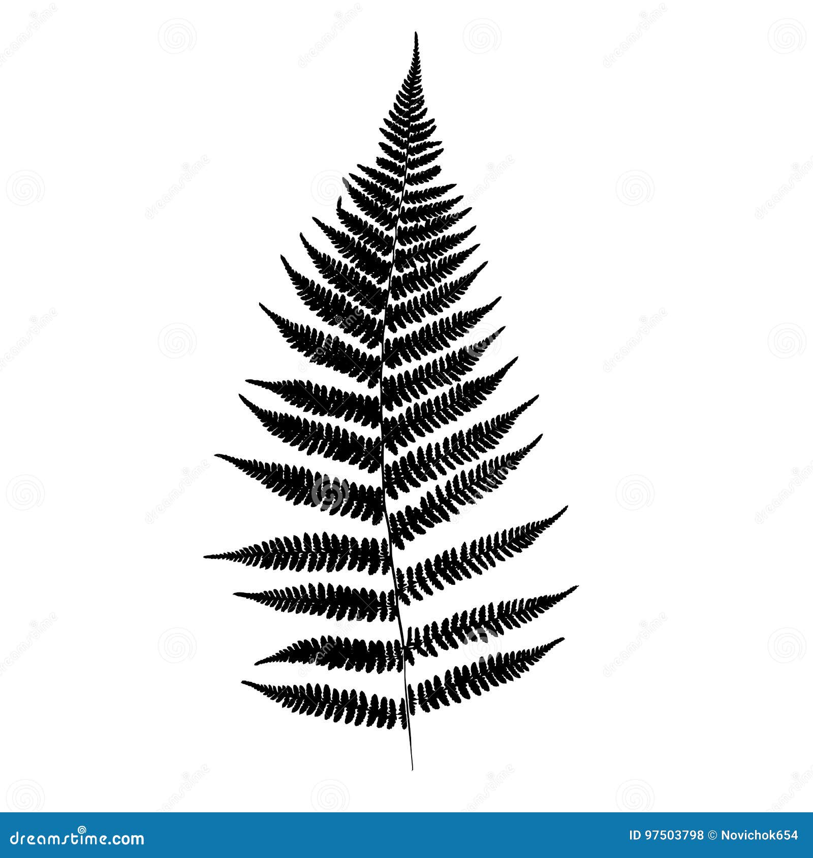 Fern Leaf Silhouette. Cartoon Vector | CartoonDealer.com #100102247