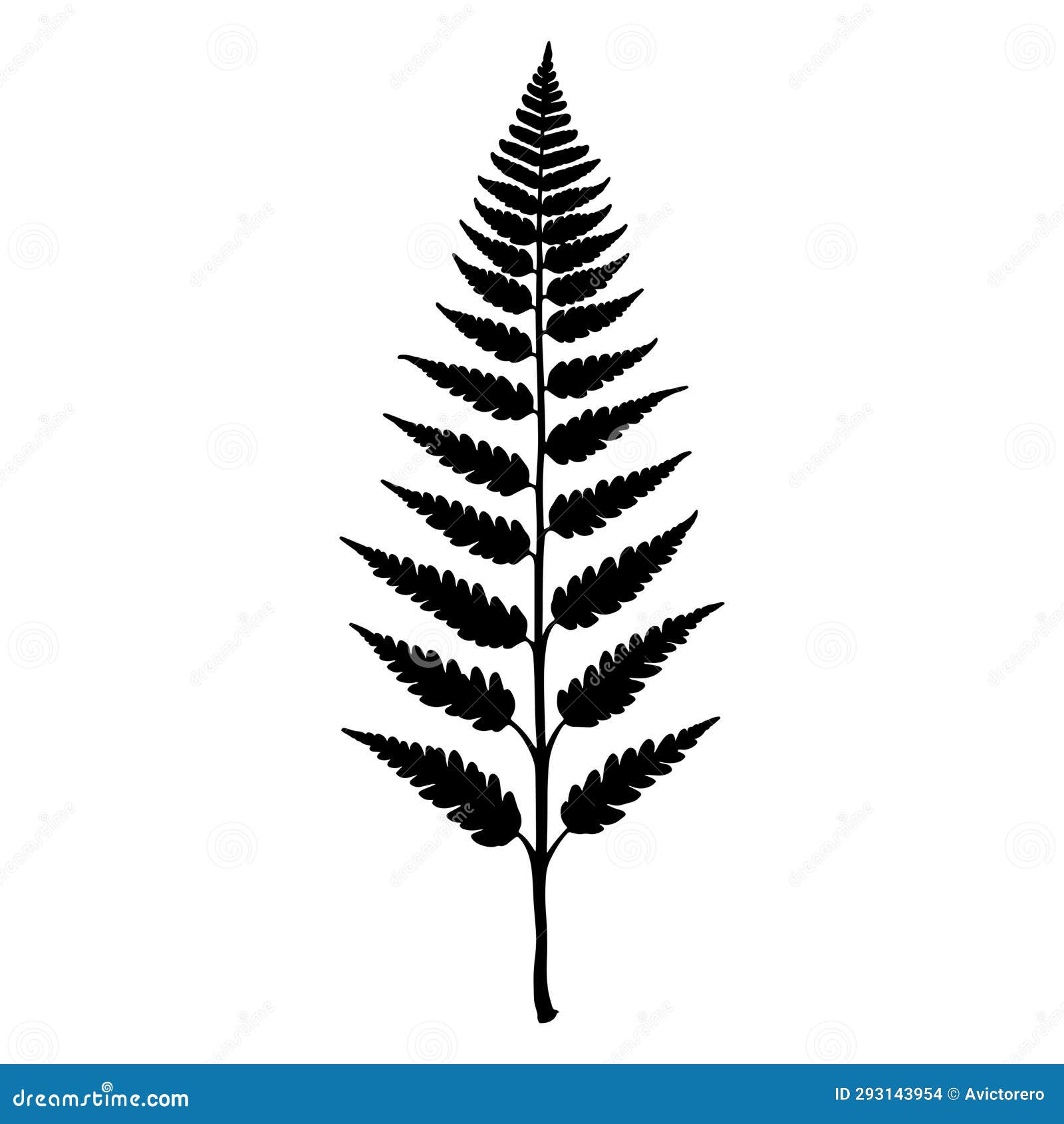 Fern leaf silhouette stock vector. Illustration of vector - 293143954