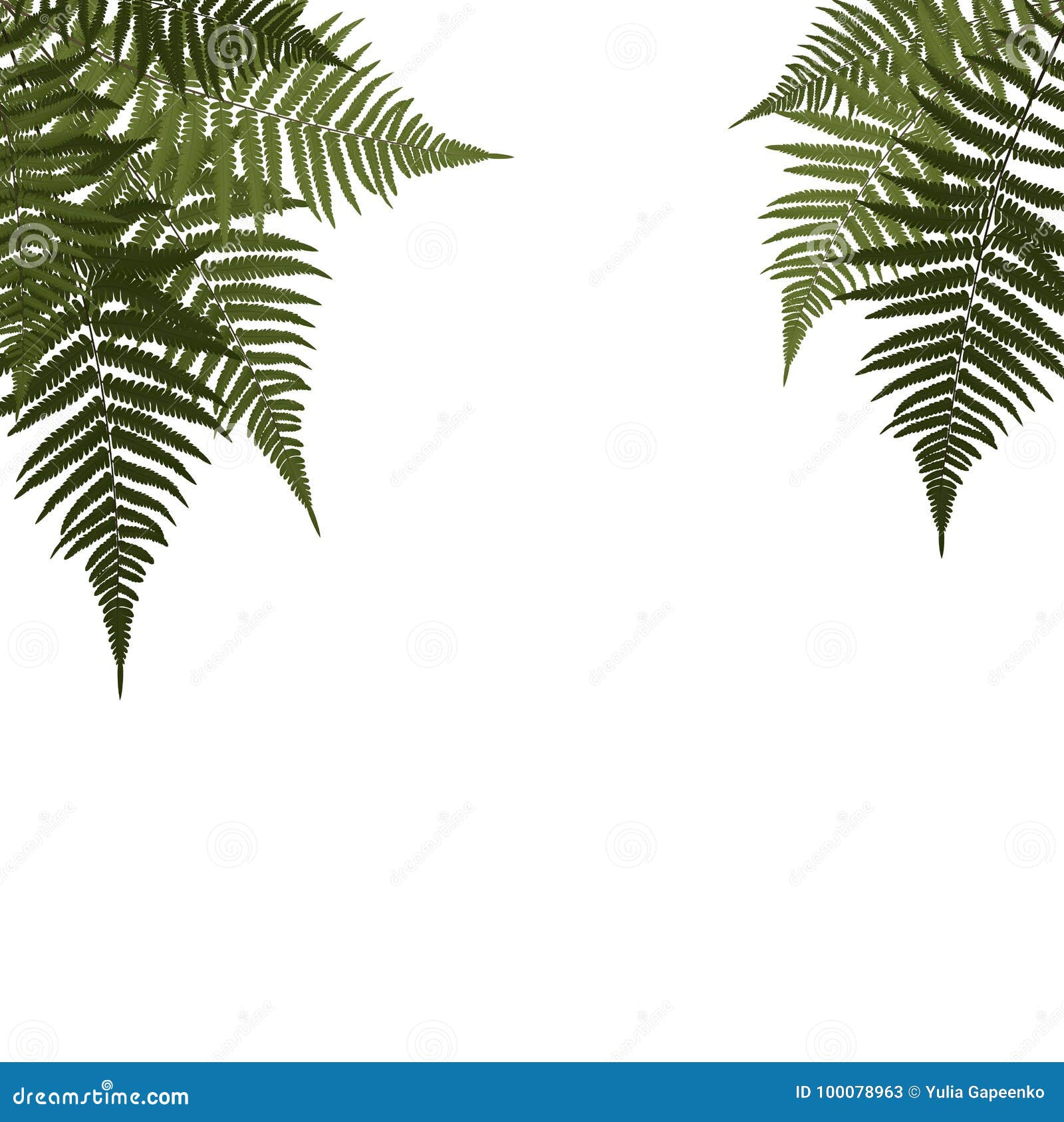 Fern Leaf Vector Background Illustration Stock Vector - Illustration of ...