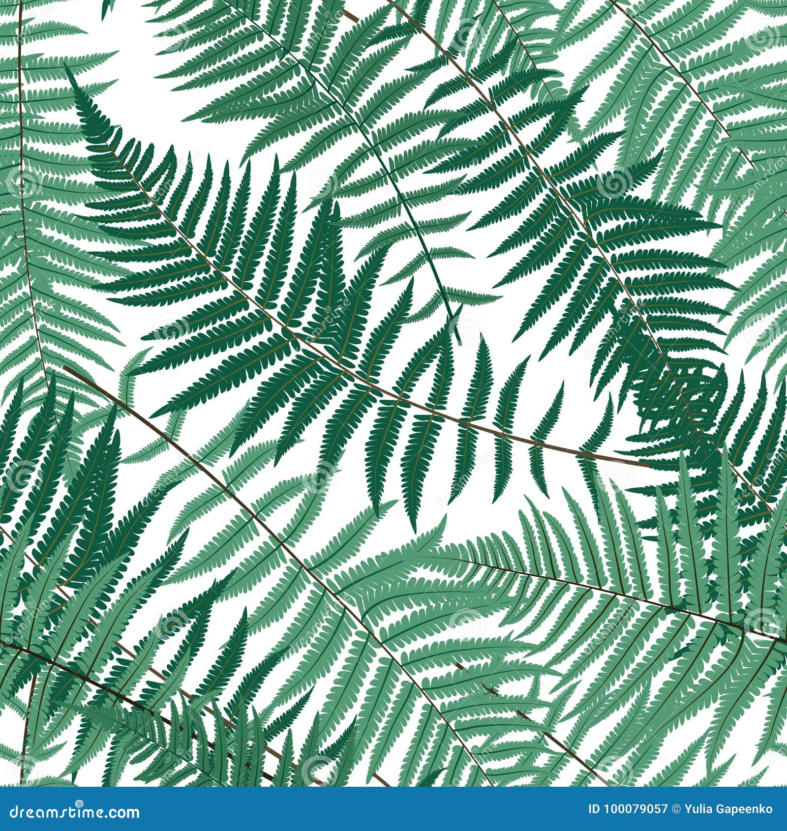 Fern Leaf Vector Fern Leaf Vector Seamless Pattern Background Stock ...