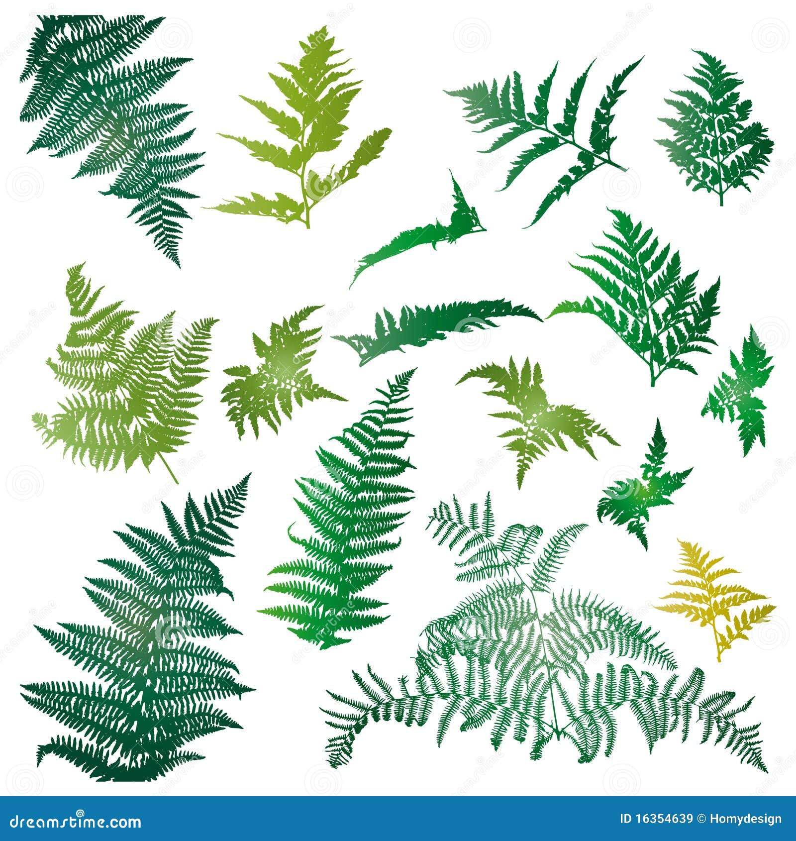 Fern Leaves Cartoon Vector | CartoonDealer.com #16354639