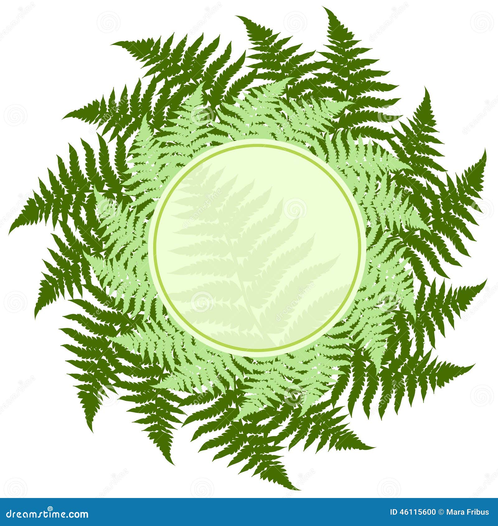 Fern leaves frame stock vector. Illustration of plant - 46115600
