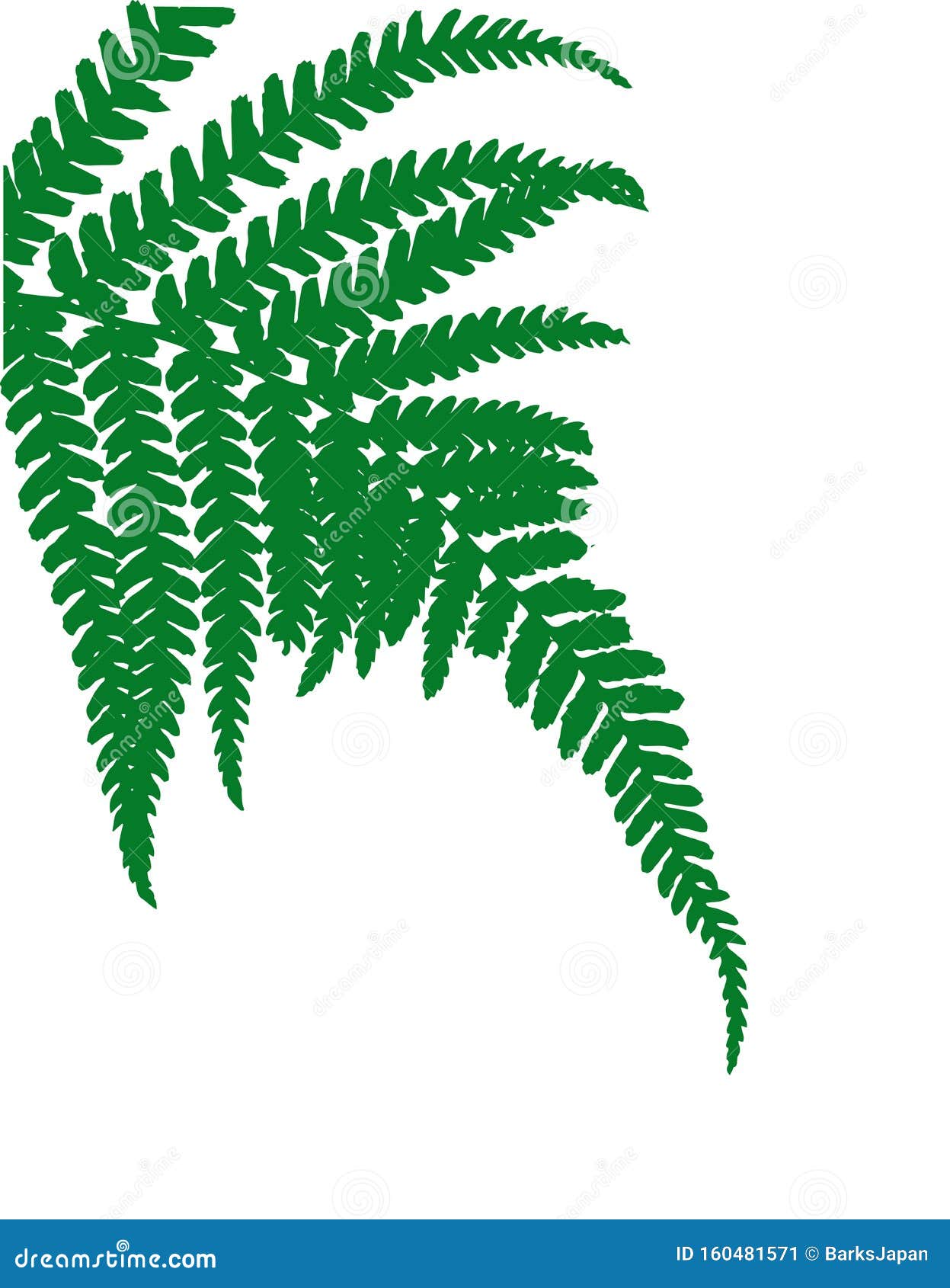 Fern Leaves Silhouette Illustration Cartoon Vector | CartoonDealer.com ...