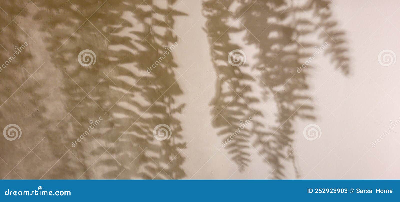 Fern Plants Shadow with White Background and Texture Stock Image ...