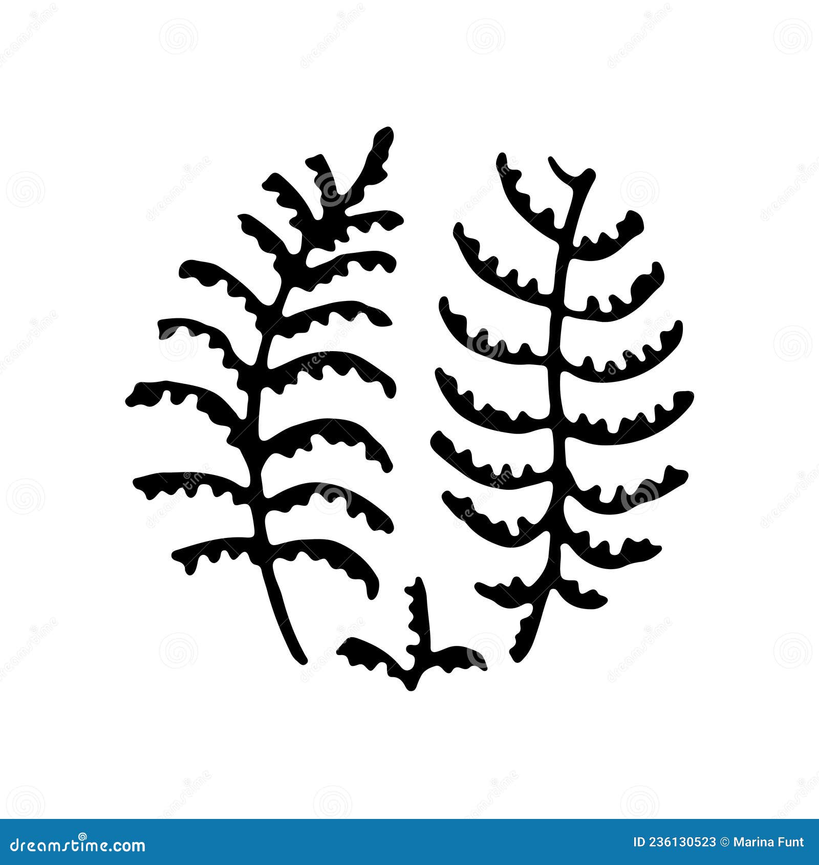Fern Round Abstract Botanical Texture. Hand-drawn Texture in a Circle ...