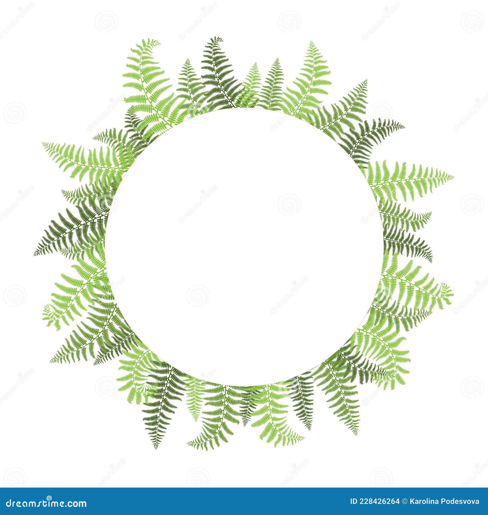 Fern Round Frame , Vector Illustration Isolated on White Background ...