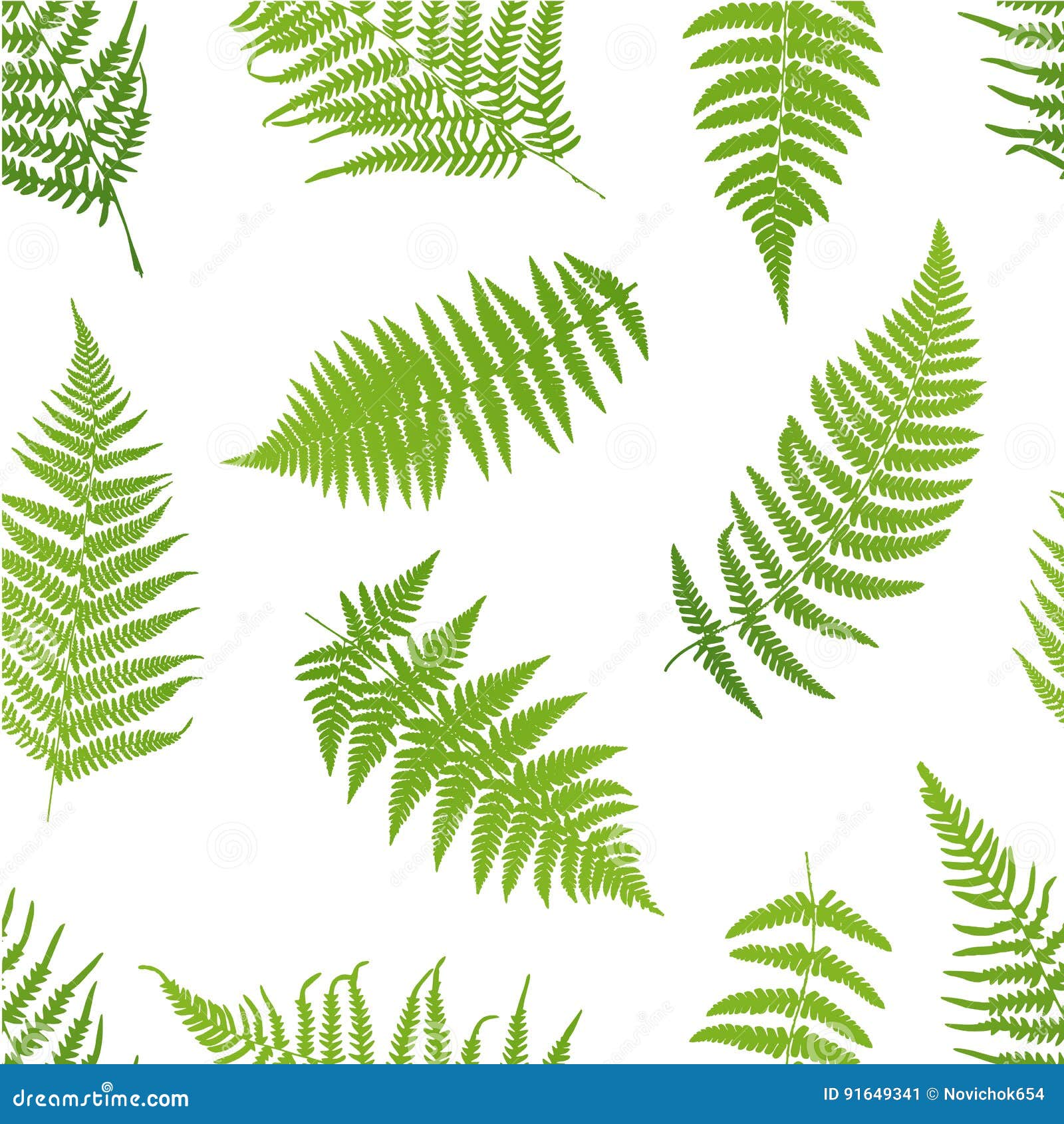 Fern seamless pattern. stock vector. Illustration of foliage - 91649341