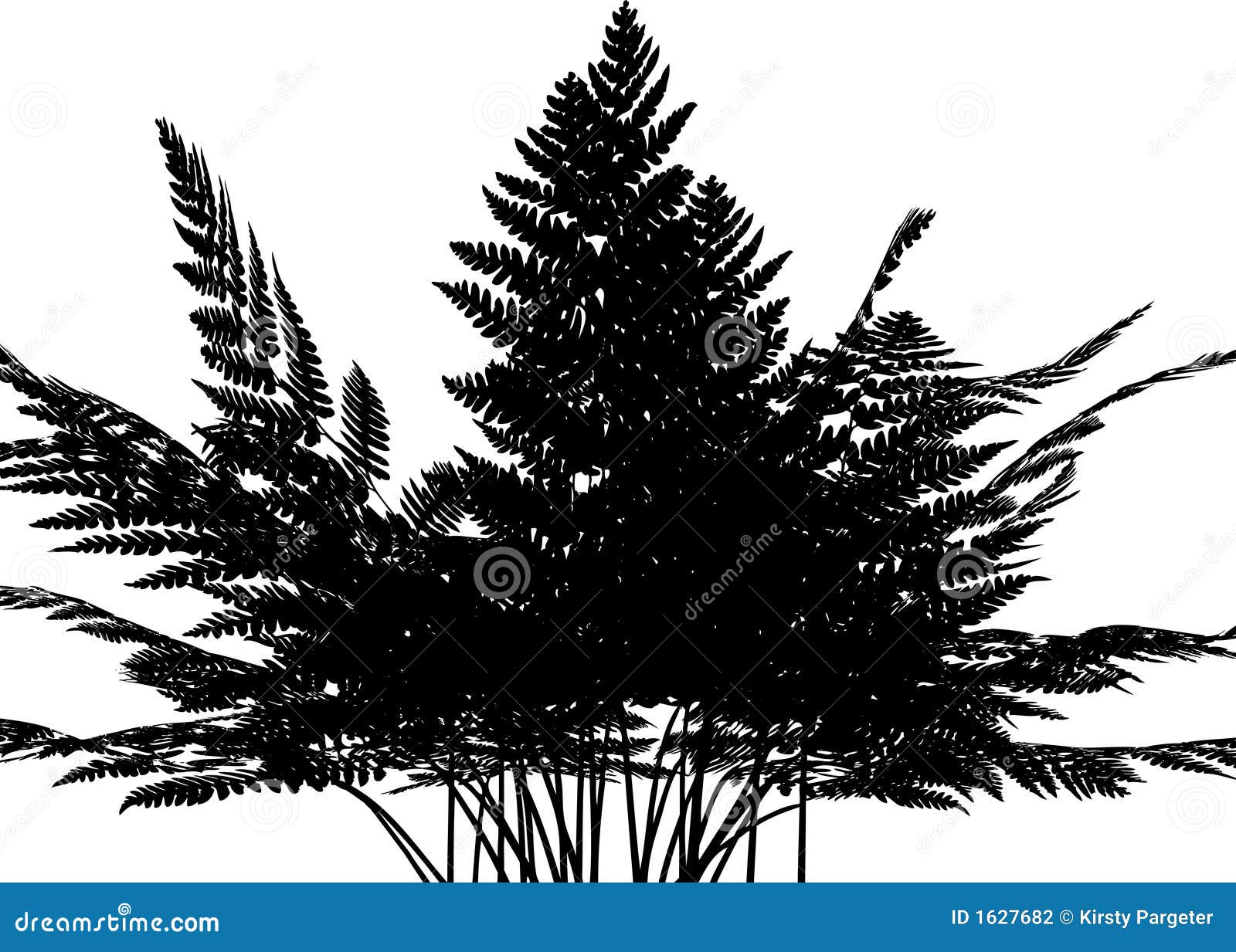 Fern silhouette stock vector. Illustration of season, tree - 1627682