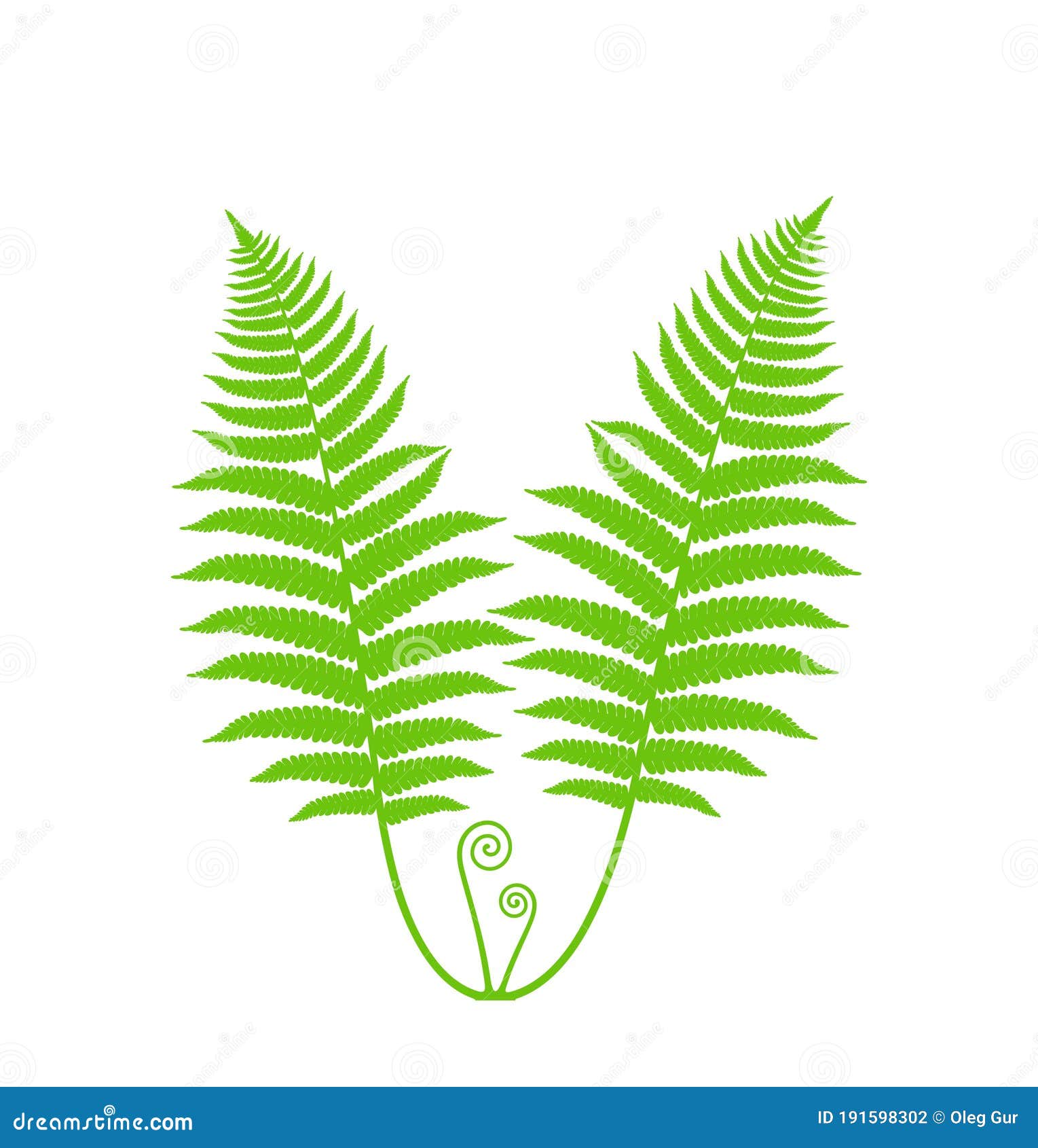 Fern Silhouette Cartoon Vector | CartoonDealer.com #57765431