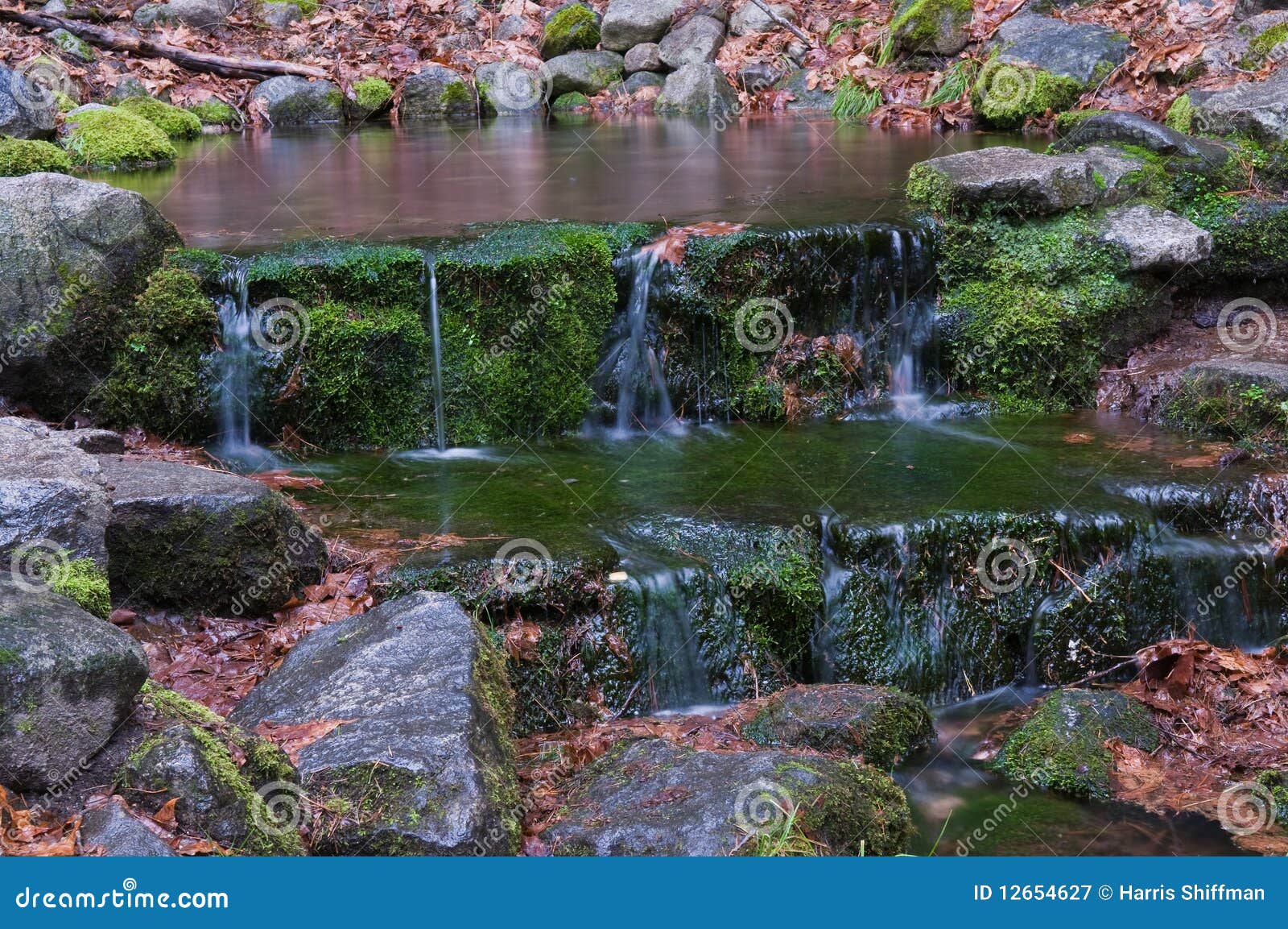 Fern Spring stock image. Image of park, water, valley - 12654627