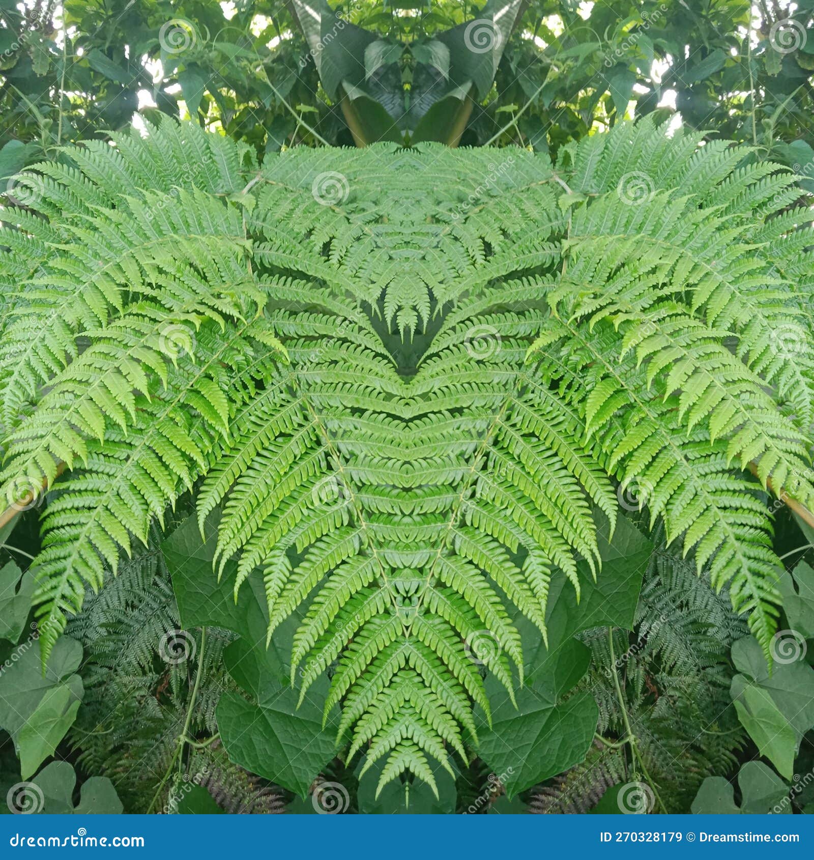 Fern Tree Branch with Lush Leaves Stock Image - Image of lush, fern ...