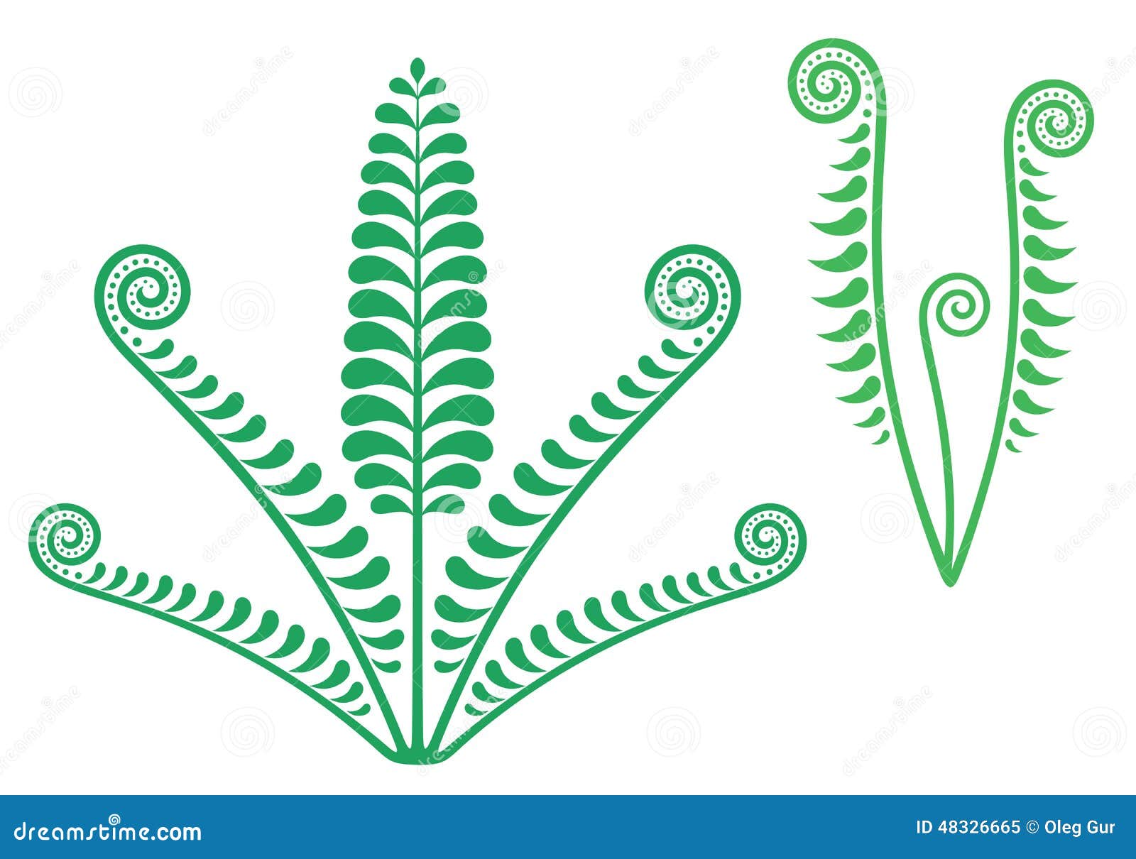 Fern stock vector. Illustration of fern, vector, green - 48326665