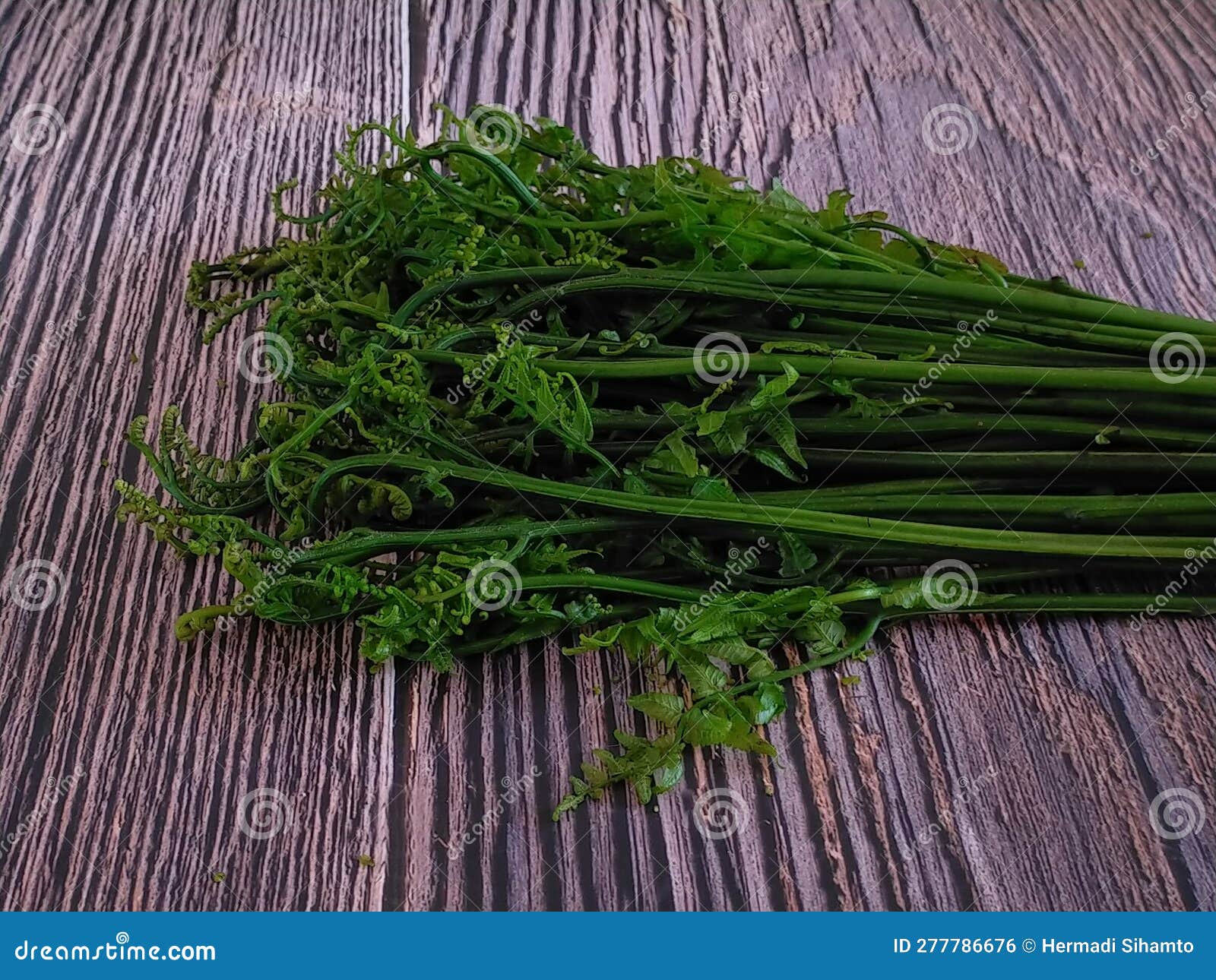 Fern Vegetable on the Table Stock Photo - Image of wood, agriculture ...