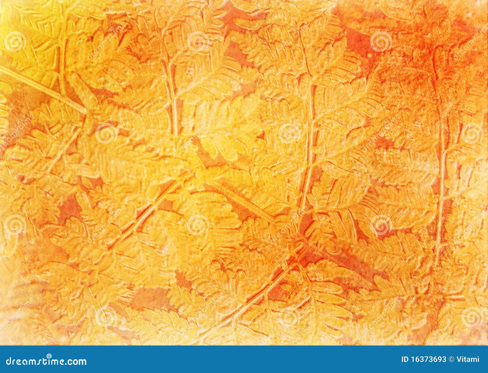 Fern - Vintage Stylized Floral Picture Stock Image - Image of structure ...