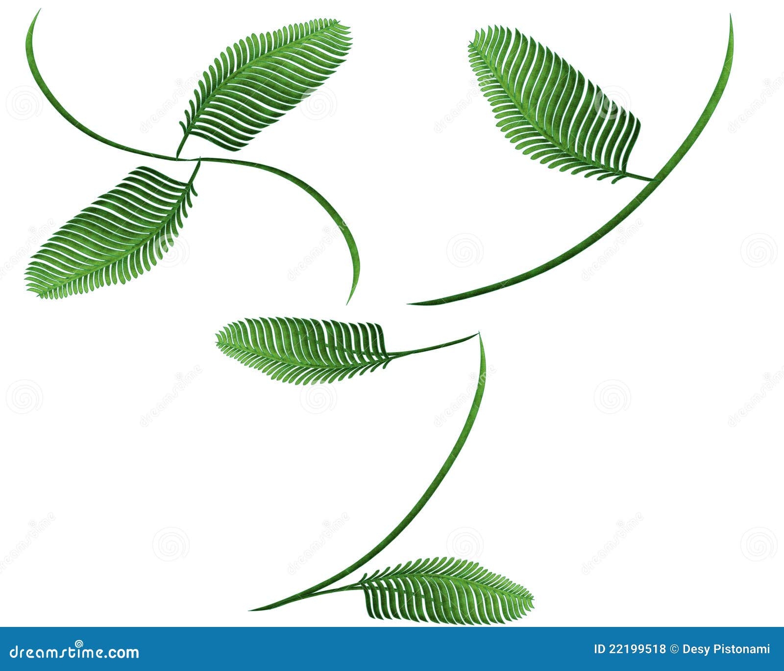 Fern words stock illustration. Illustration of plant - 22199518