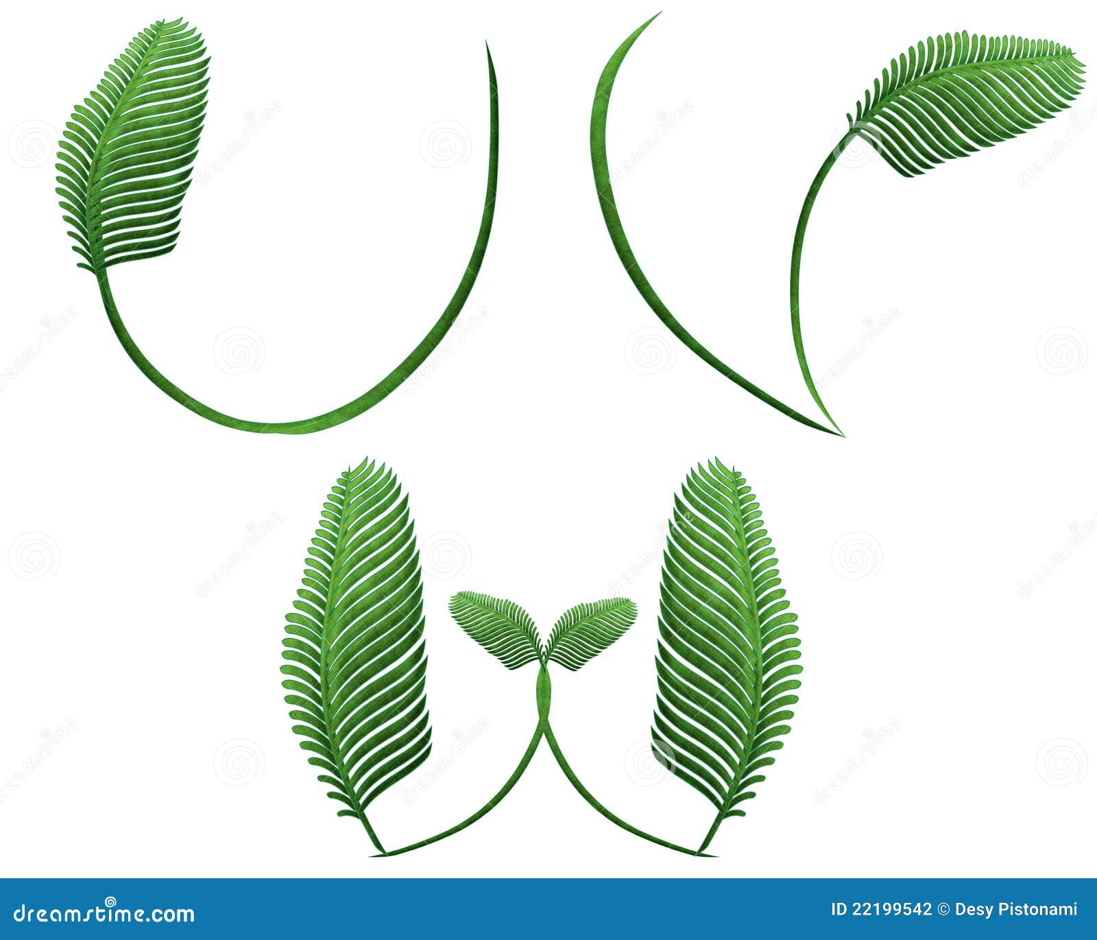 Fern words stock illustration. Illustration of flora - 22199542