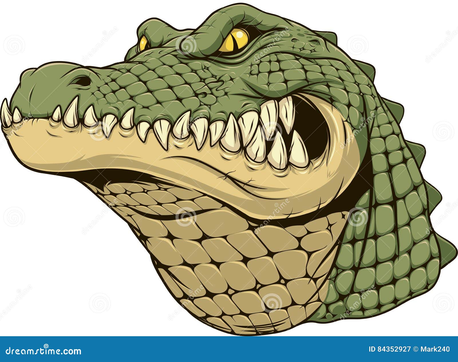 Alligator Vector Illustration | CartoonDealer.com #15186152