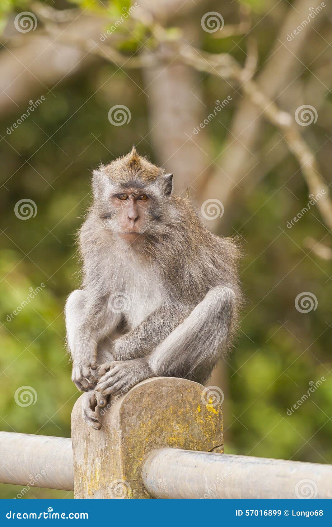 Launisch Stock Photos - Free & Royalty-Free Stock Photos from Dreamstime