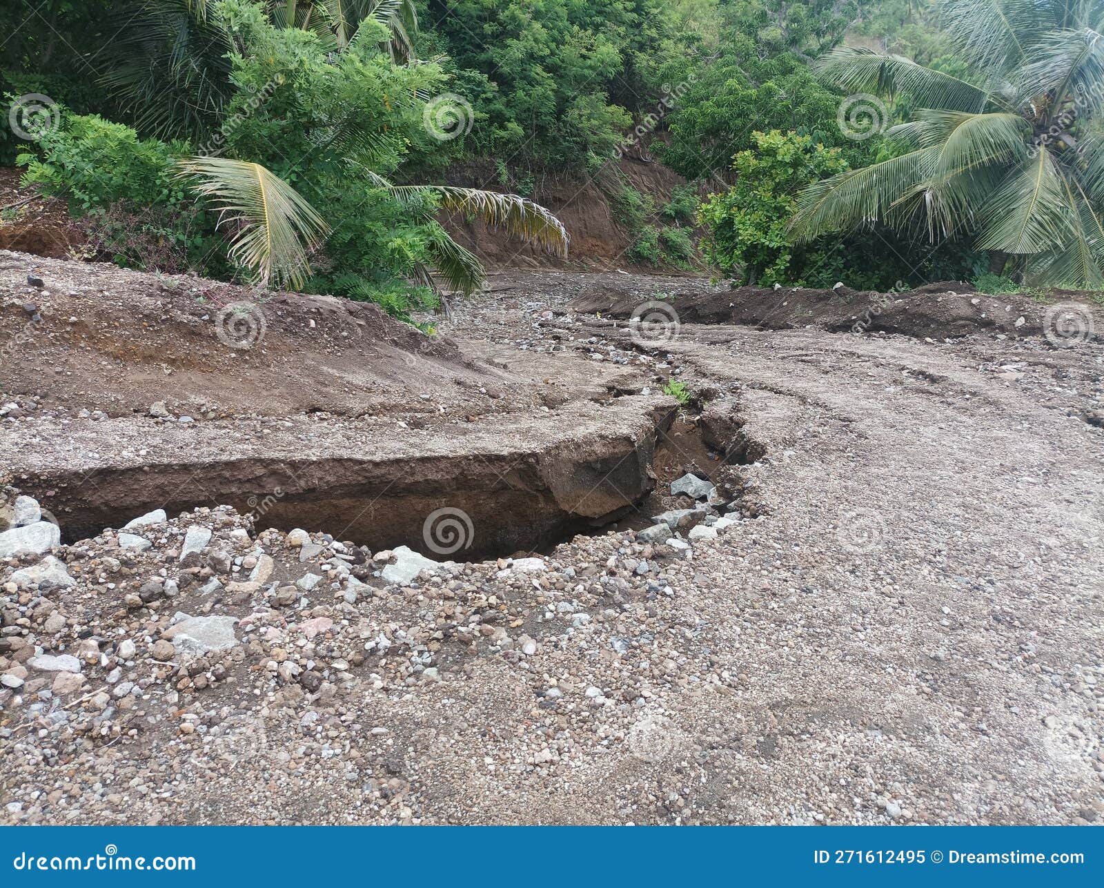 The Ferocity of Nature and Human Desires Stock Image - Image of yard ...