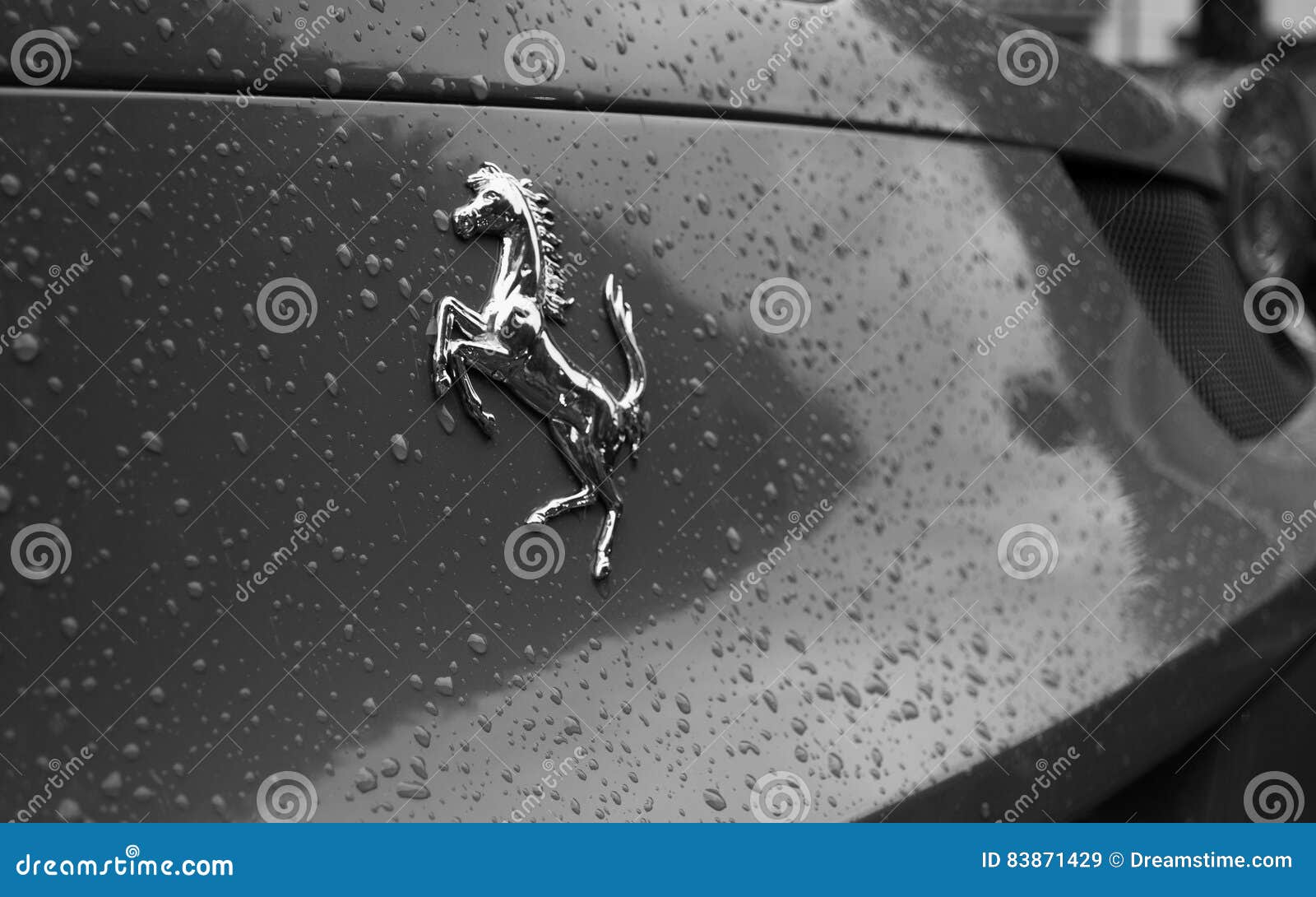 Ferrari logo under rain editorial stock image. Image of ferrari - 83871429