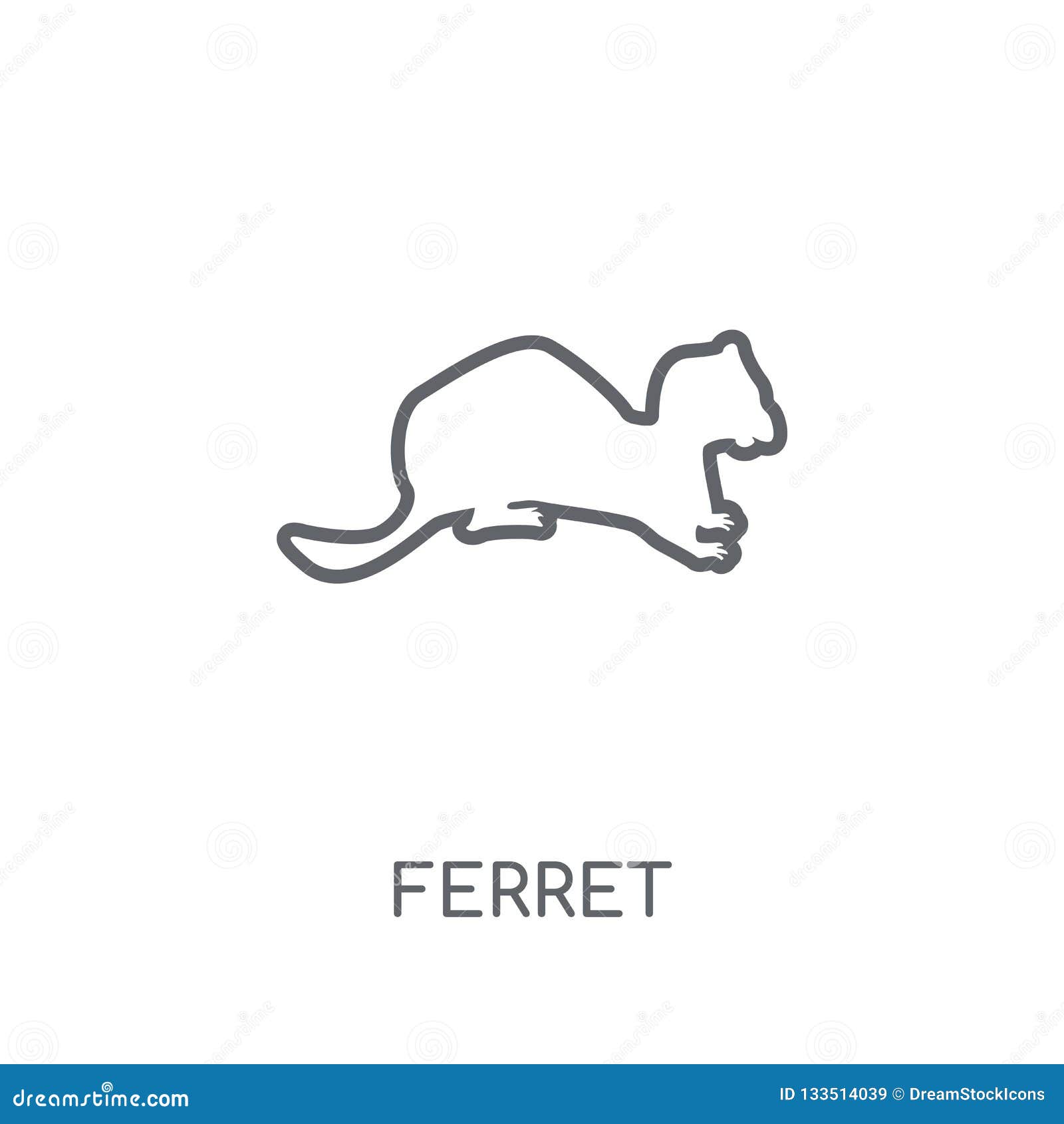 Polecat Linear Icon. Modern Outline Polecat Logo Concept On Whit ...