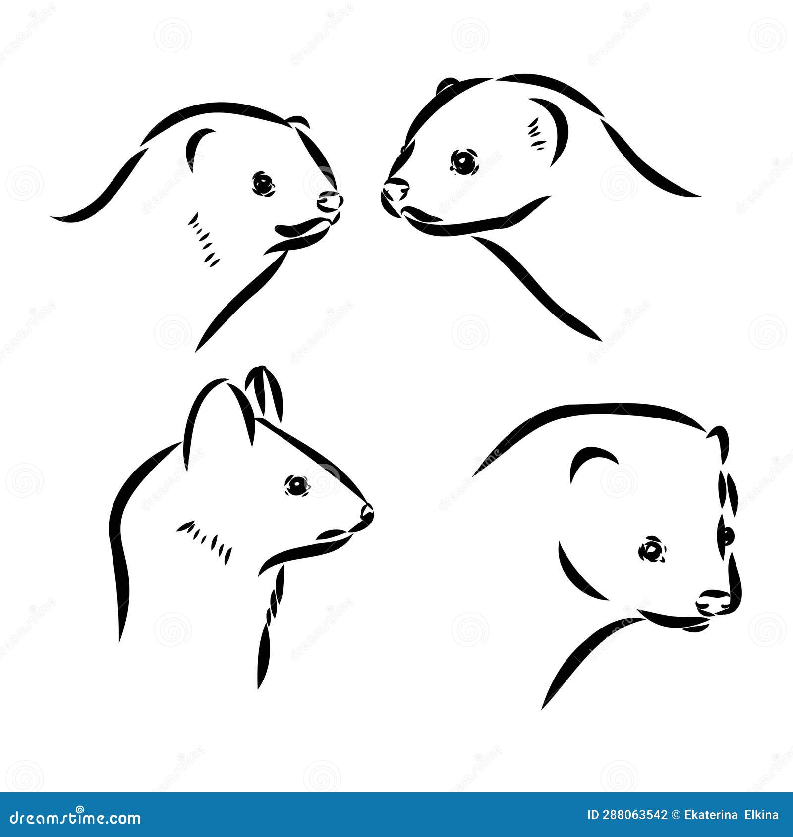 Ferret Side View, Hand Drawn Doodle, Drawing Sketch In Gravure Style ...