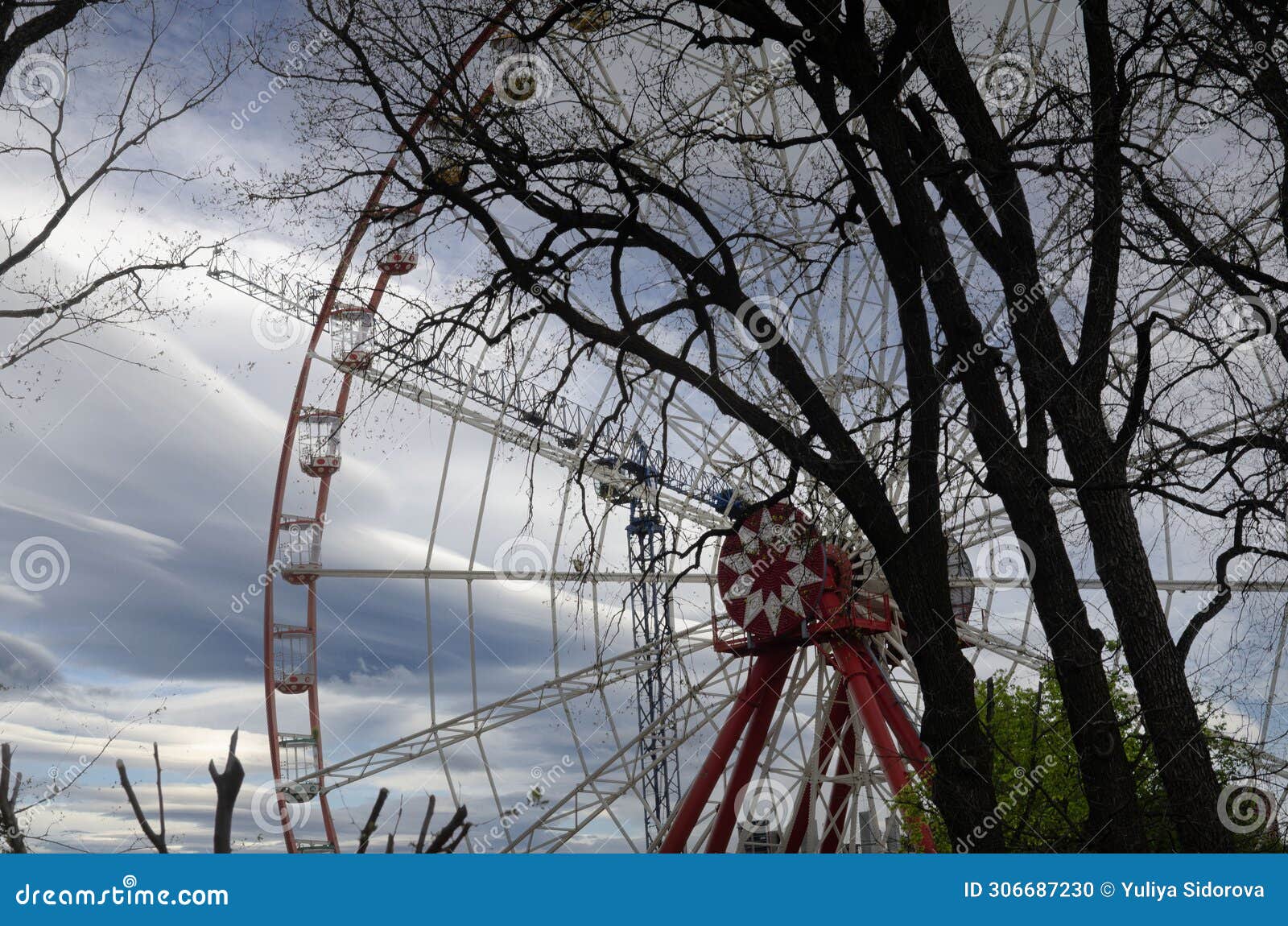 Ferris Wheel Against the Background of the Sky and Tree Branches Stock ...
