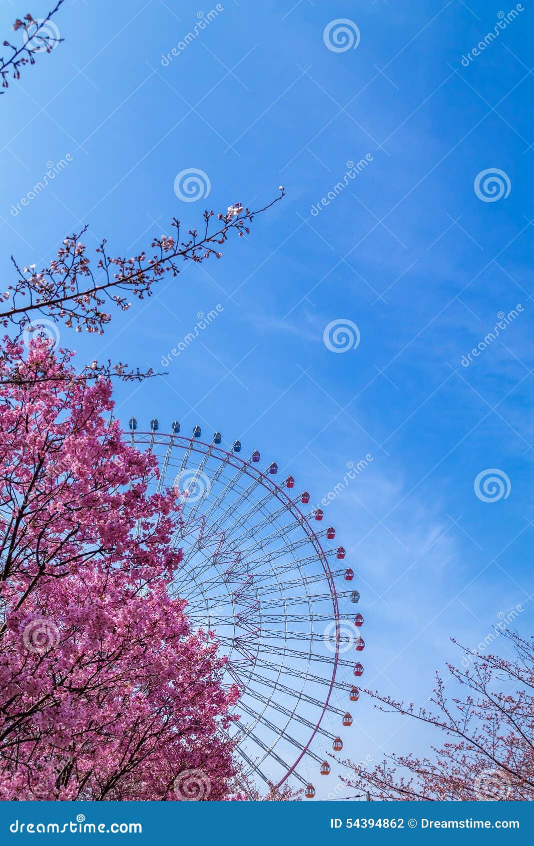 Ferris wheel stock photo. Image of tree, spring, flower - 54394862