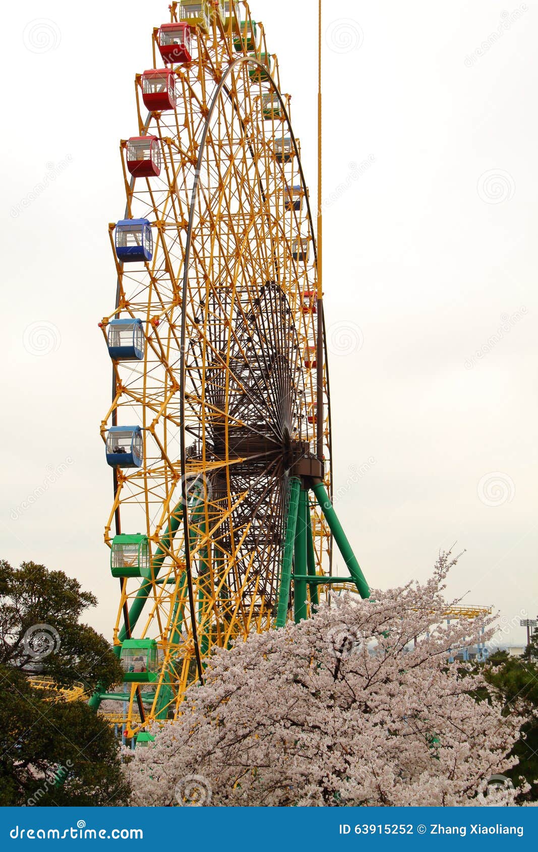 Ferris wheel and cherry stock photo. Image of color, houses - 63915252