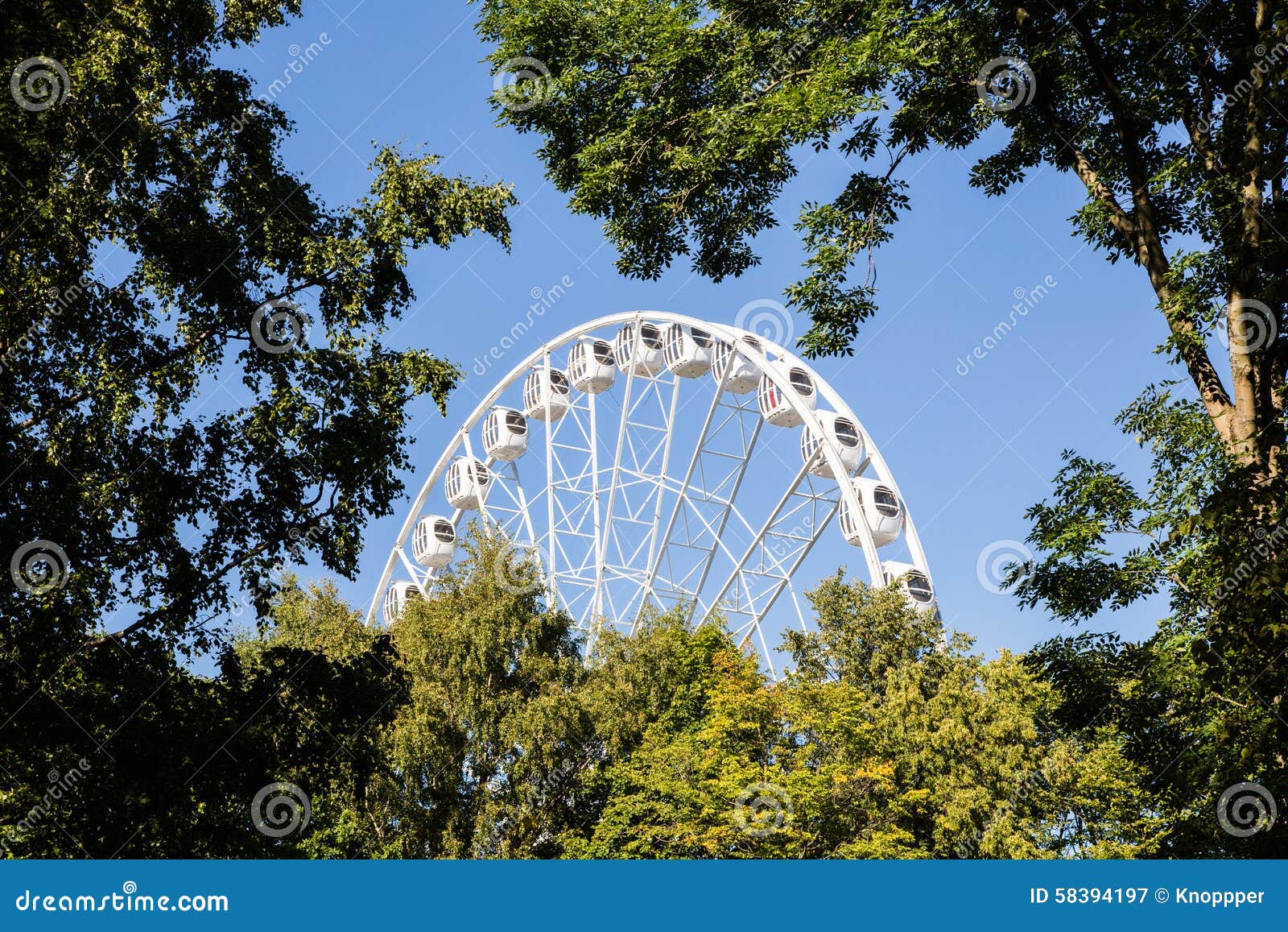 Ferris wheel in the trees stock image. Image of park - 58394197
