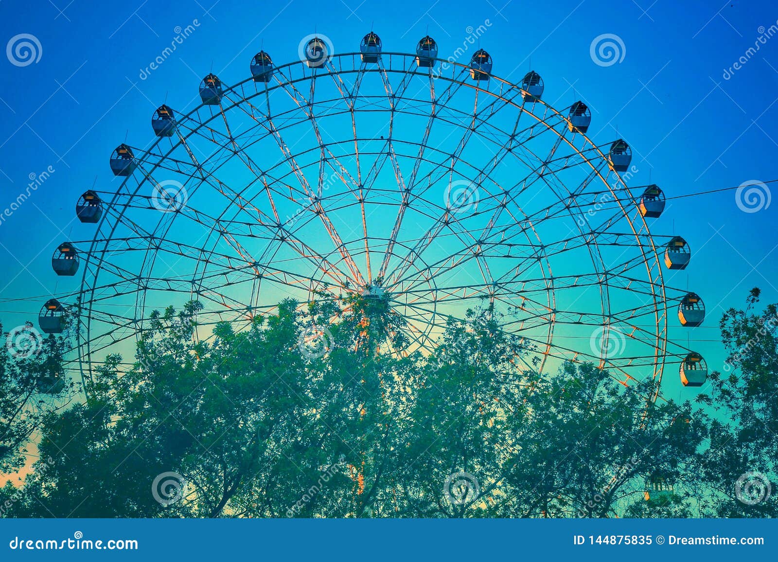 Ferris wheel with trees stock image. Image of blue, trees - 144875835