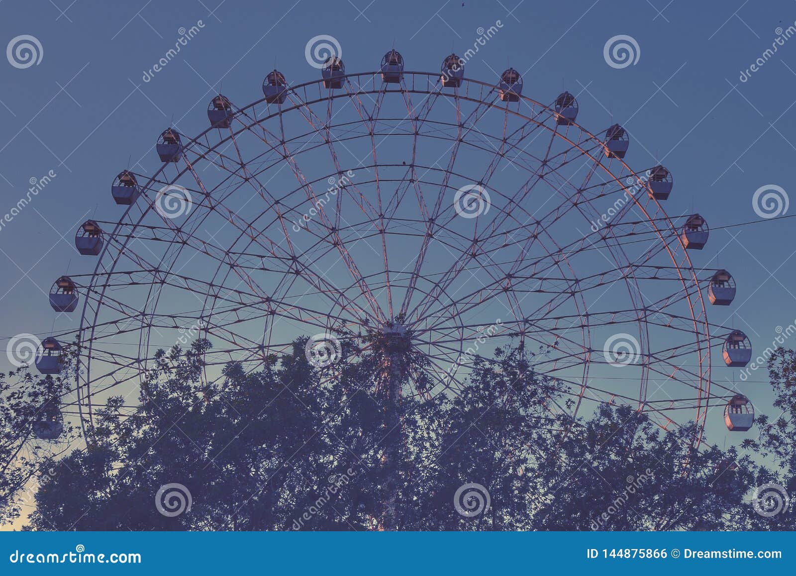 Ferris wheel and trees 2 stock photo. Image of trees - 144875866