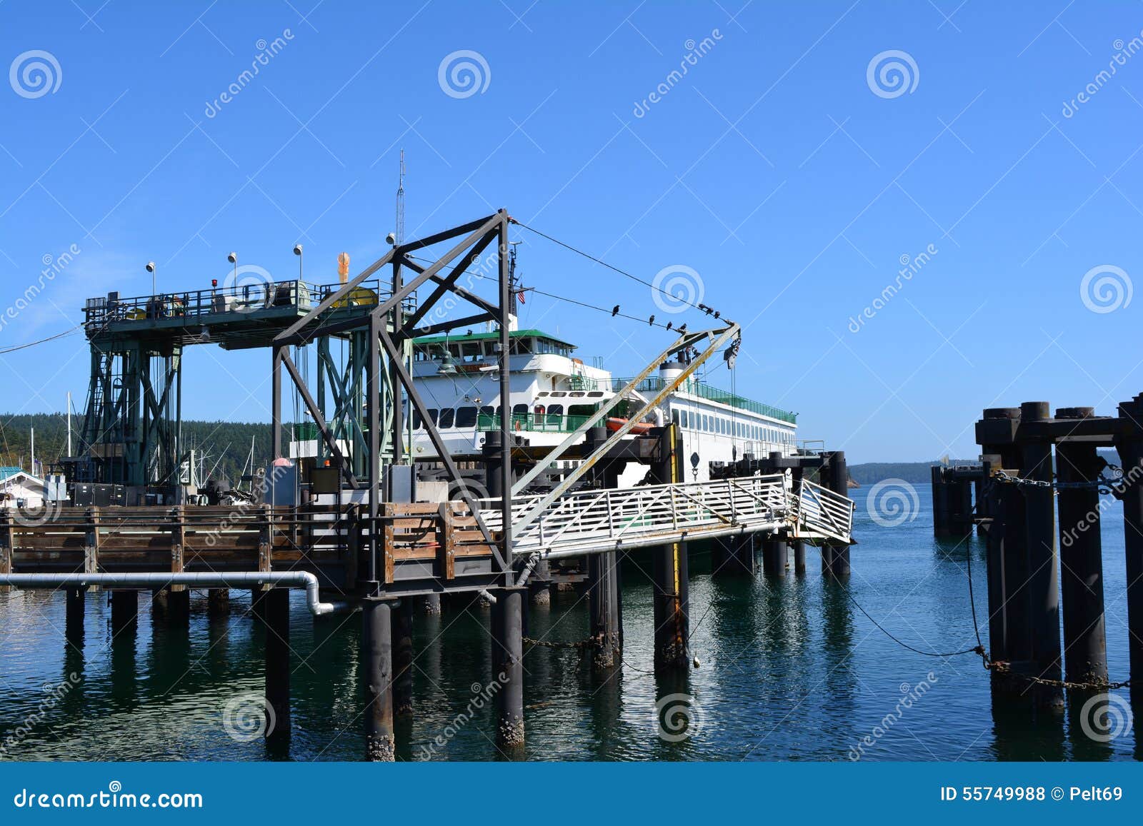 Ferry Boat at Friday Harbor, Washington Stock Photo - Image of friday ...