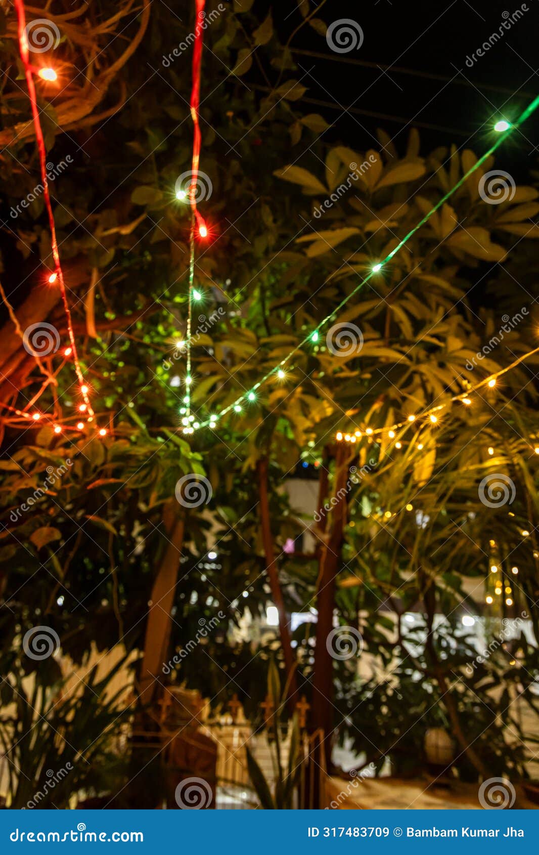 Ferry Light Bokeh Effect at Night from Different Angle Stock Image ...