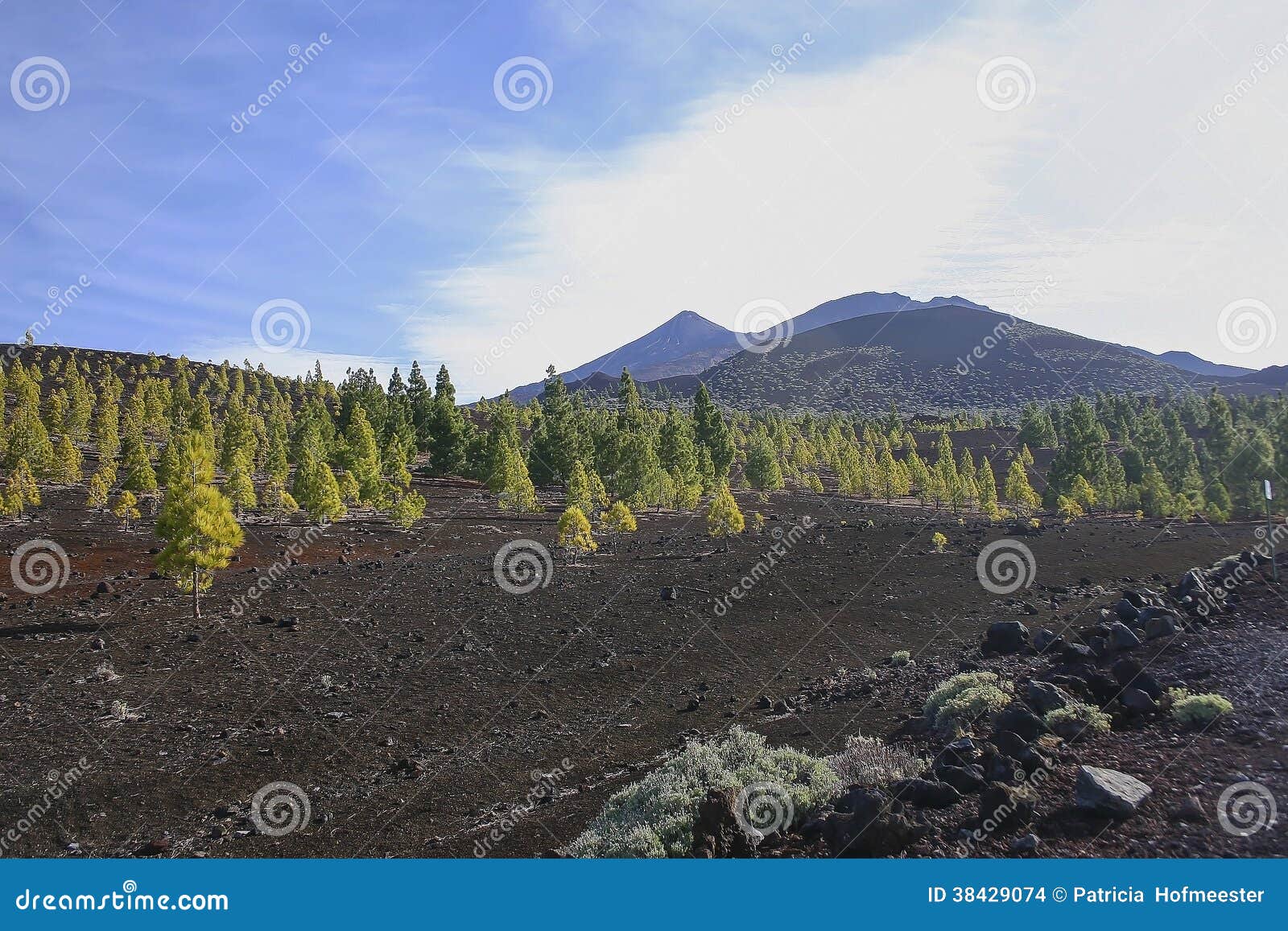 Fertile earth stock photo. Image of nature, rocks, spain - 38429074