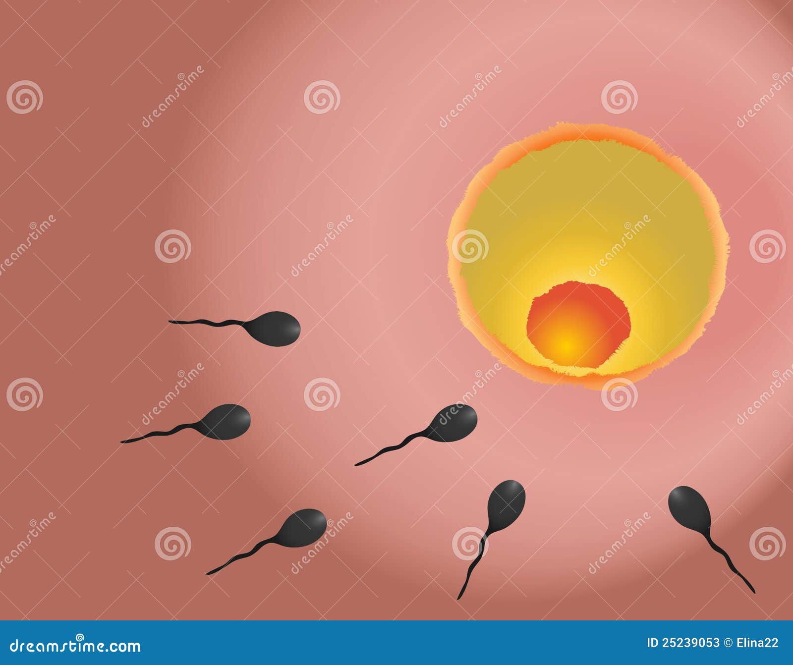 Fertilisation Cartoons, Illustrations & Vector Stock Images - 958 ...