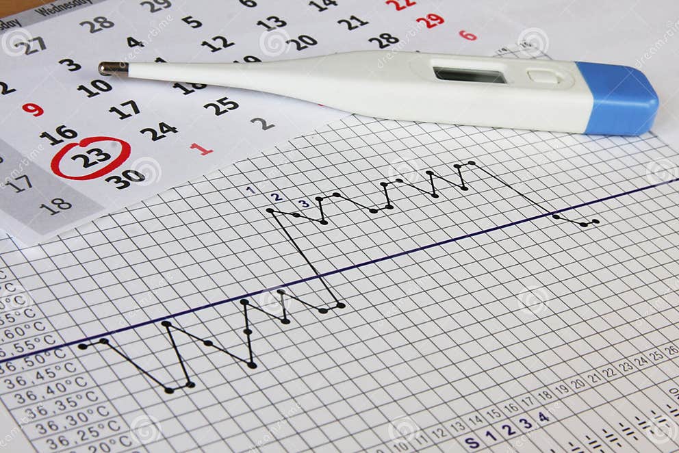 Fertility Chart. Naprotechnology. Stock Photo - Image of pregnancy ...