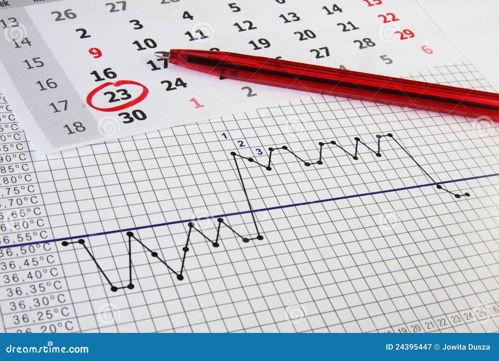Fertility Chart. Naprotechnology. Stock Image - Image of safety ...