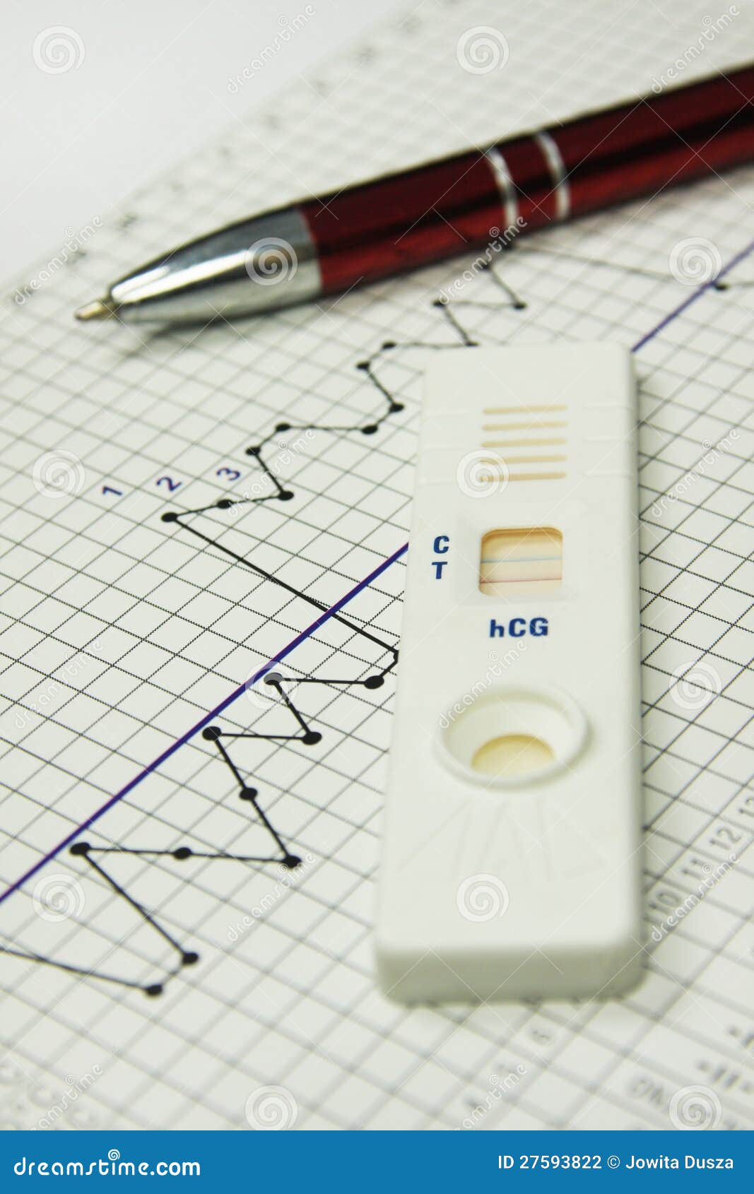 Fertility Chart. Pregnancy Test. Naprotechnology Stock Photo - Image of ...