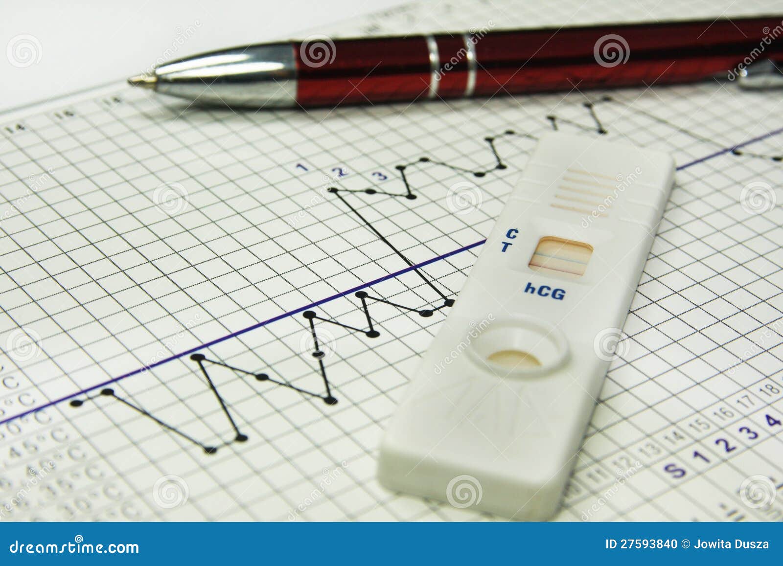 Fertility Chart. Pregnancy Test. Naprotechnology Stock Photo - Image of ...