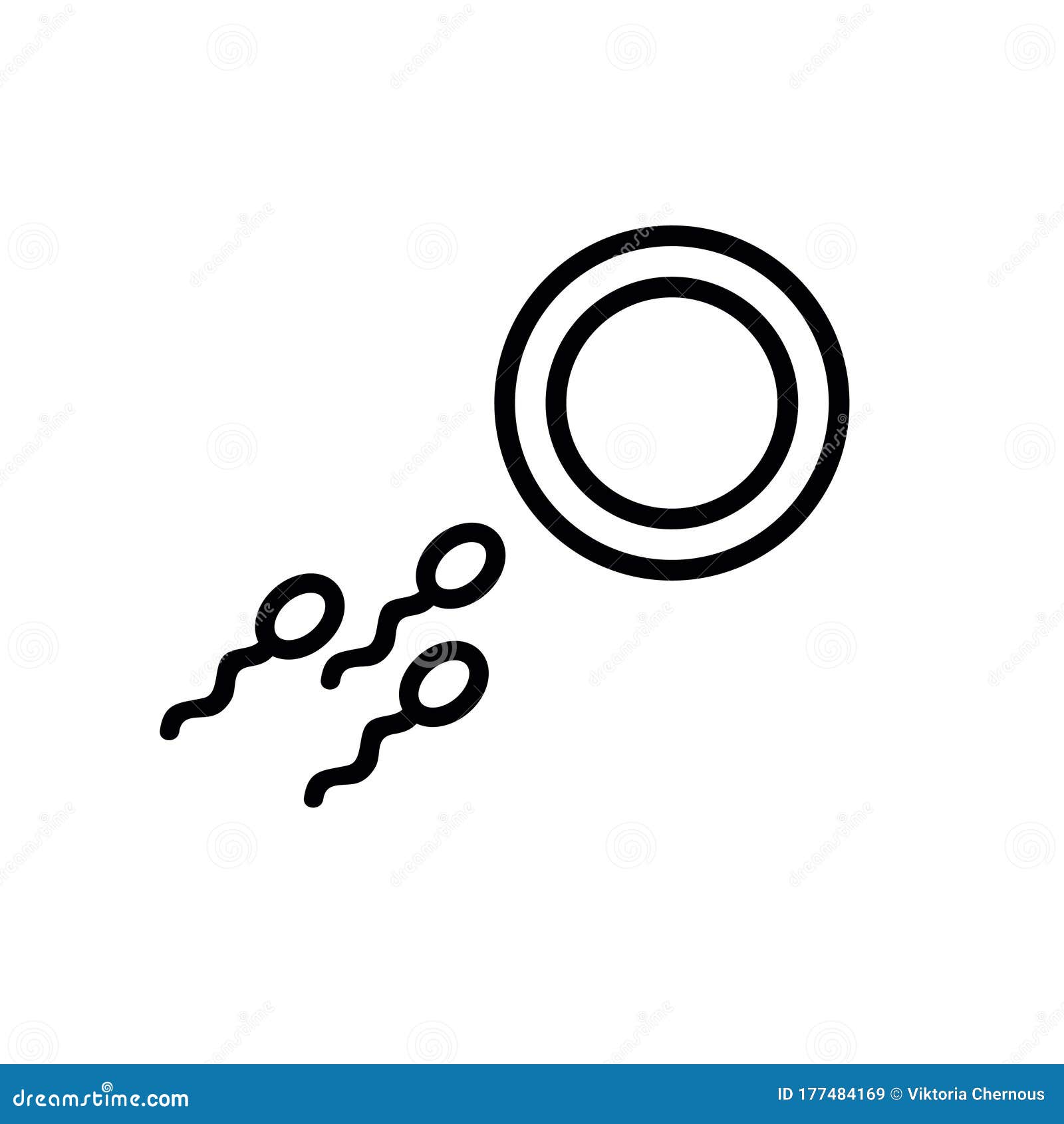 Fertilization Line Icon, Vector Illustration Stock Illustration - Illustration of clinic ...