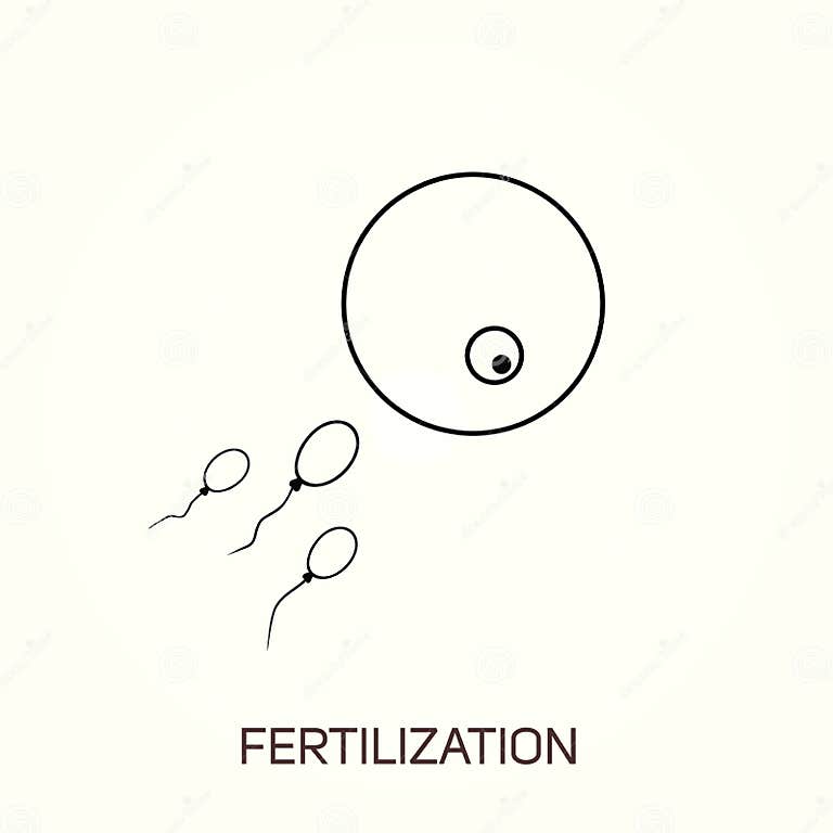 Fertilization Process Human Sperm Cell Icon Abstract Icon Goal Sperm