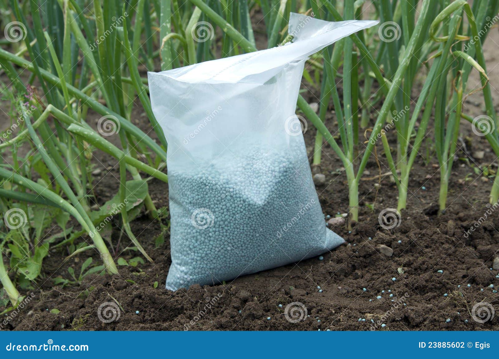 Fertilize stock photo. Image of land, path, ground, nature - 23885602