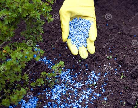 Fertilize stock image. Image of grow, glove, dirt, horticulture - 6046621