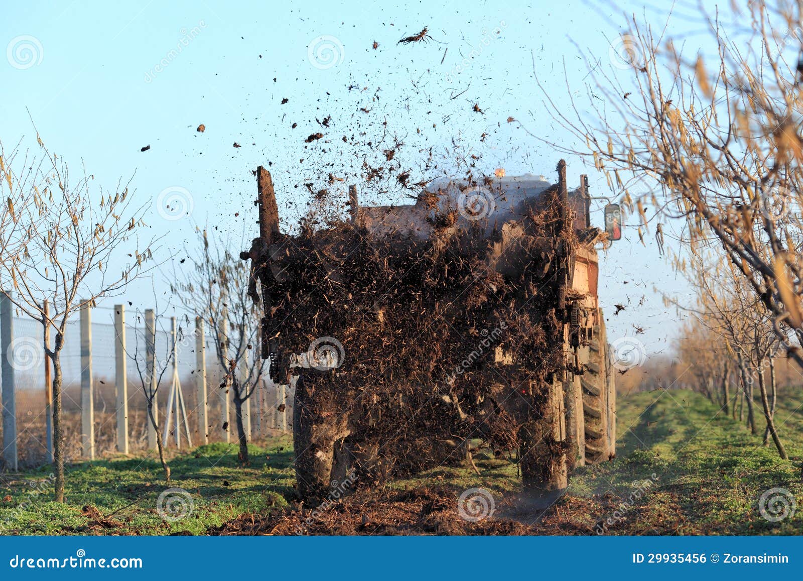Agriculture stock photo. Image of agriculture, dung, growth - 29935456