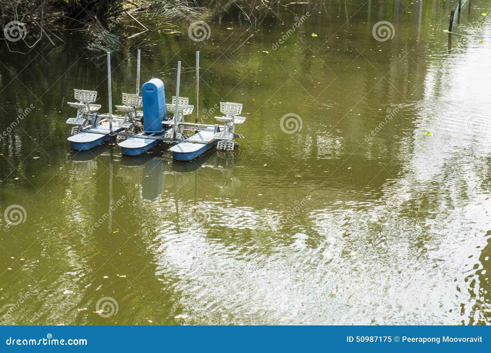 Fertilized Recycle Oxygen Water Pond Canal Dirty Stock Image - Image of ...