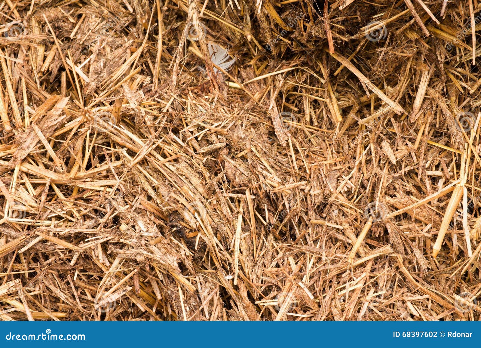 Fertilizer from cow dung stock photo. Image of compost - 68397602