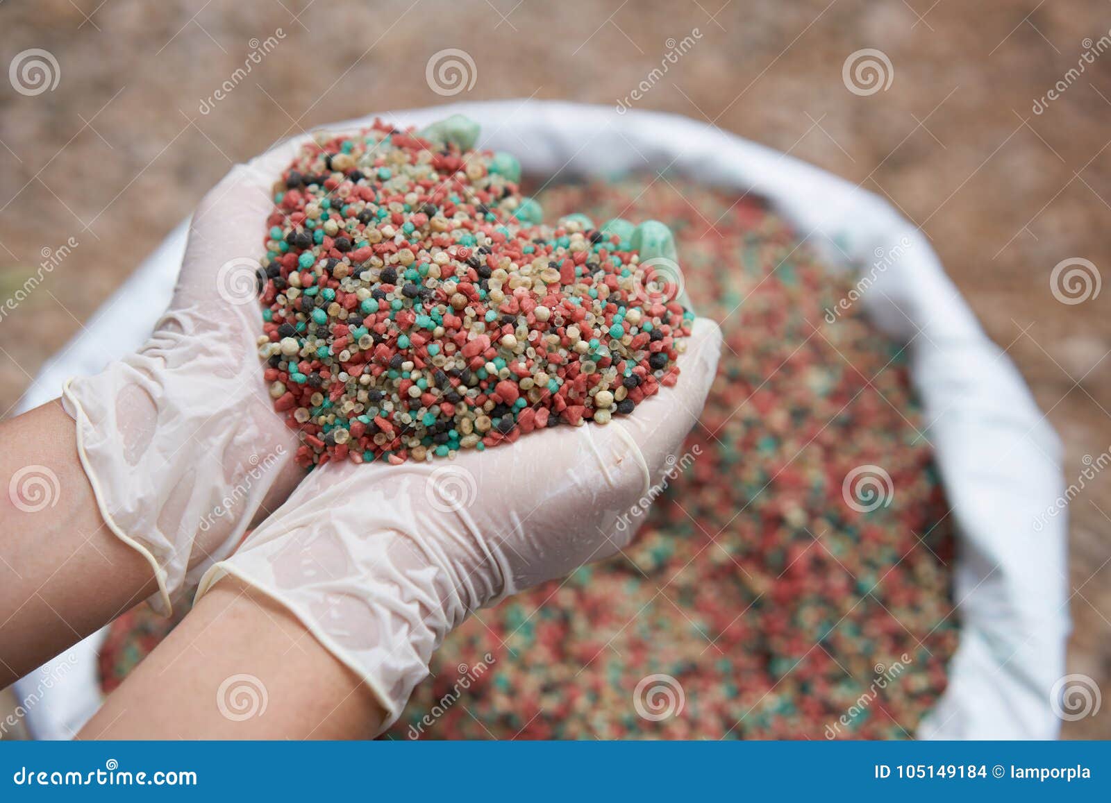 Fertilizer in Farmer Hand Over Fertilizer Bag. Stock Photo - Image of ...