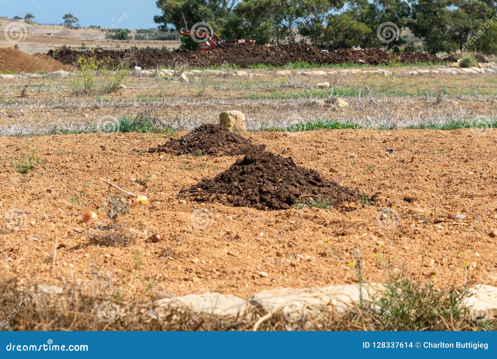 Small Piles Fertilizer in a Field Stock Photo - Image of agricultural ...