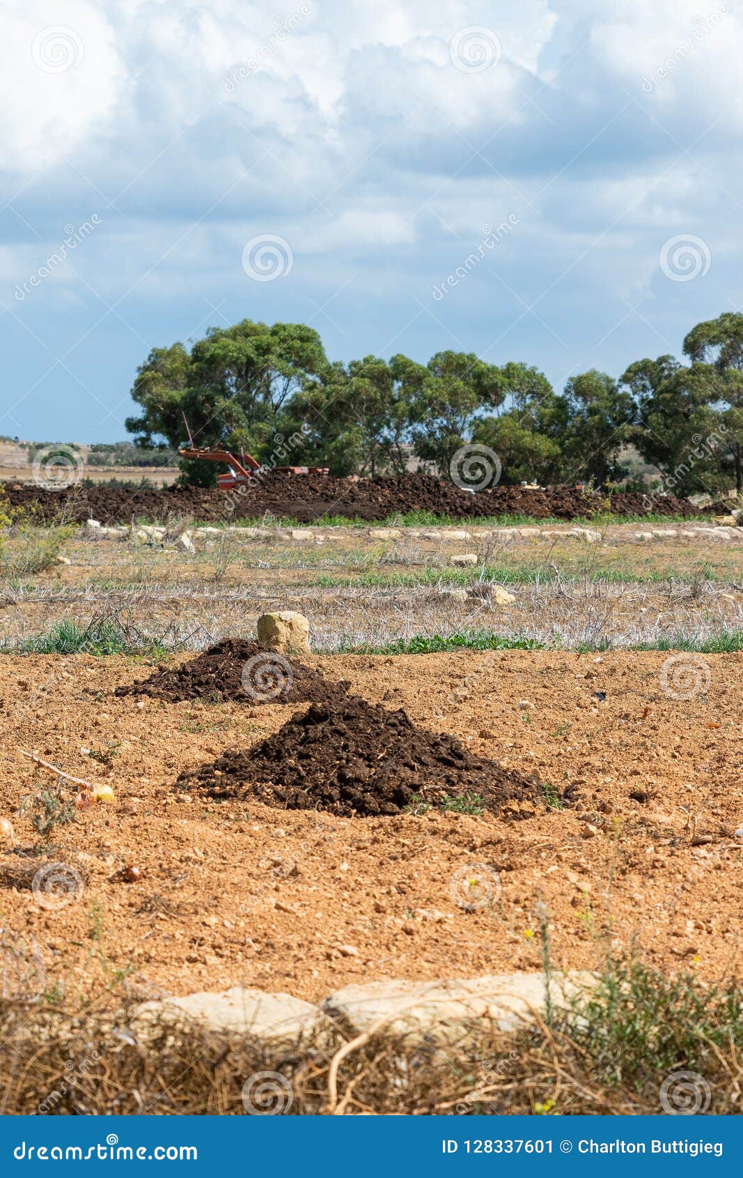 Piles of Fertilizer in a Field Stock Image - Image of animal ...